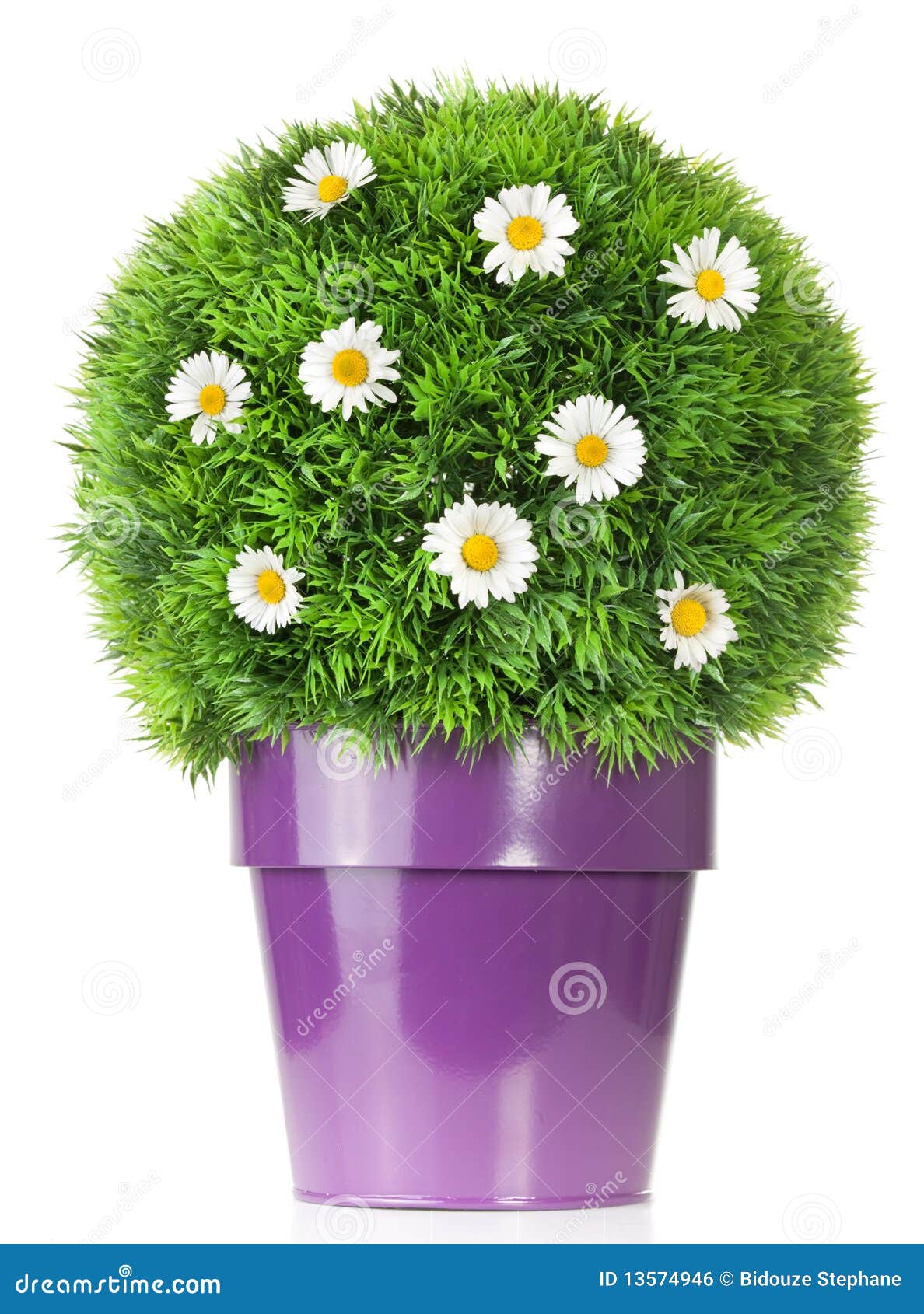 Blumenkugel stockfoto. Bild von kugel, getrennt, blumentopf - 13574946