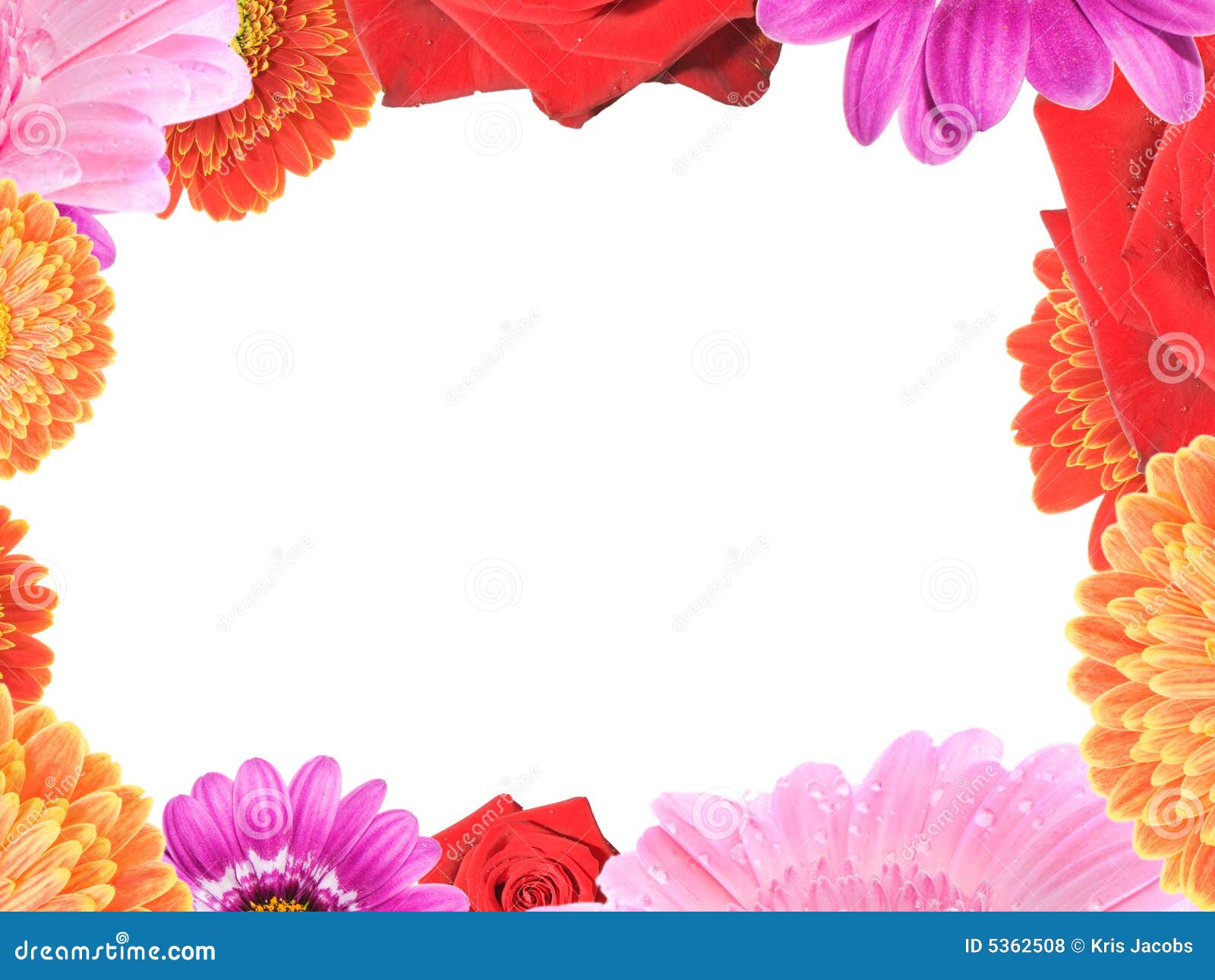 Blumenrahmen Bild. Bild: 5362508