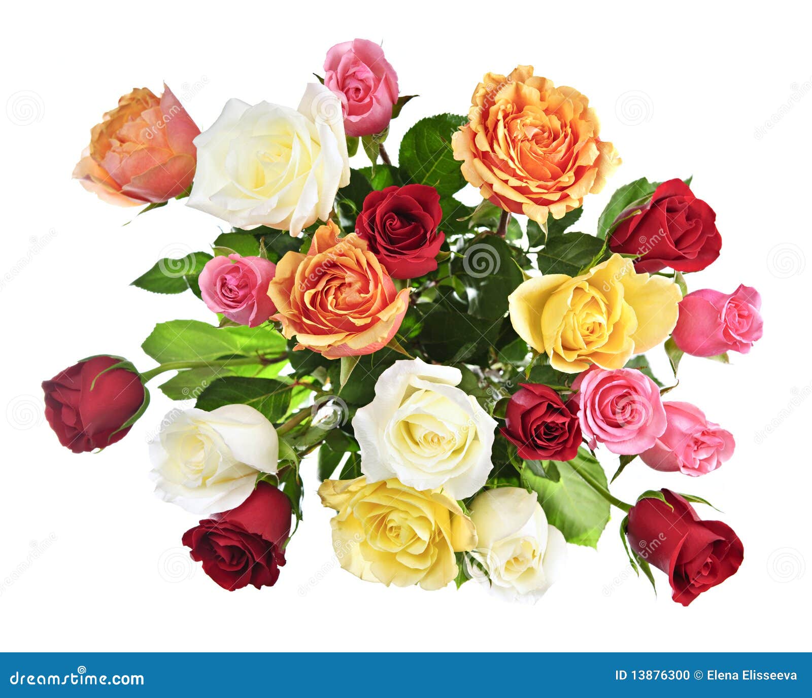 Blumenstrauß Der Rosen Von Oben Stockfoto - Bild von zerbrechlich ...