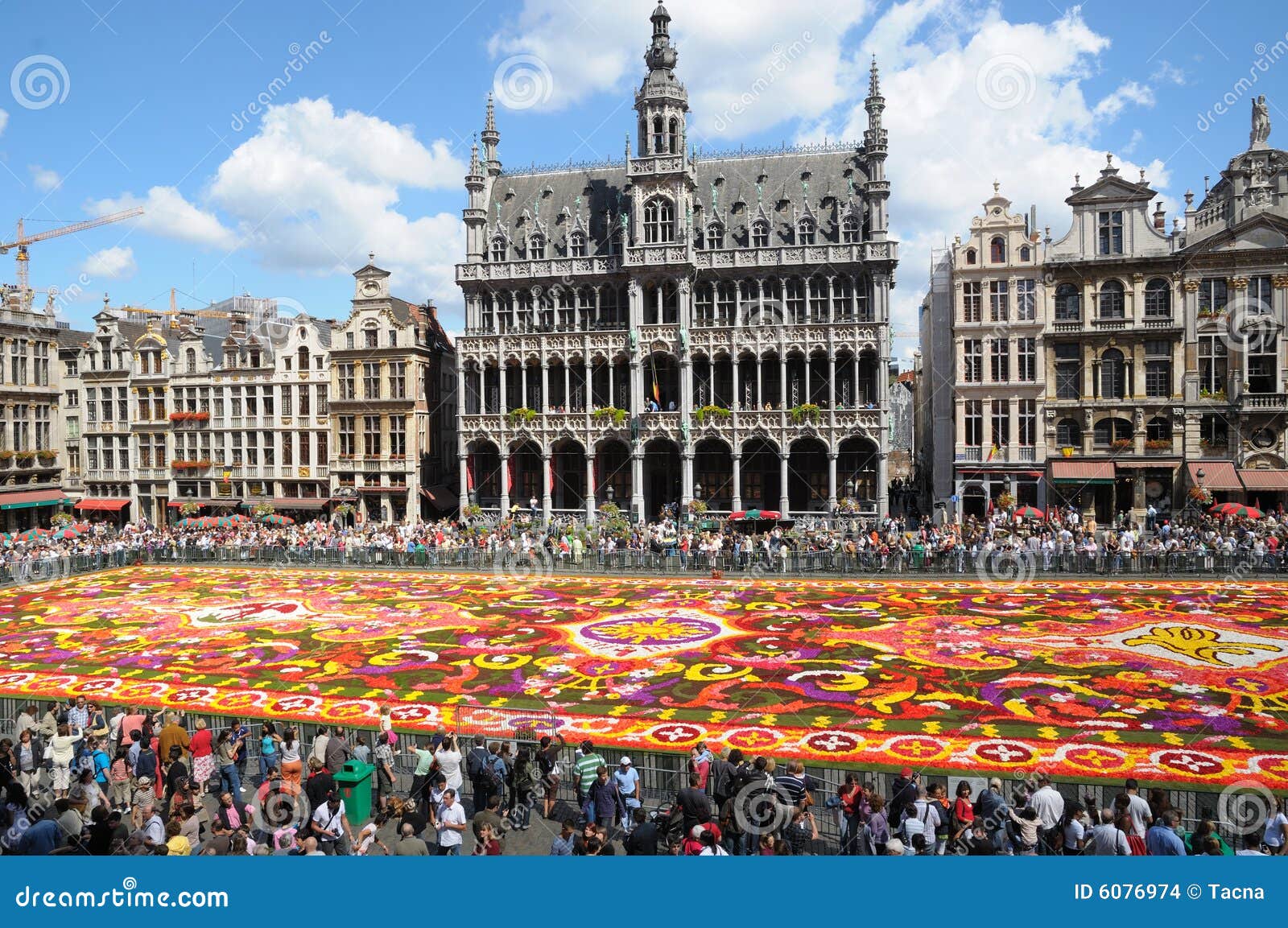 Blumenteppich 2008 redaktionelles stockbild. Bild von gras - 6076974