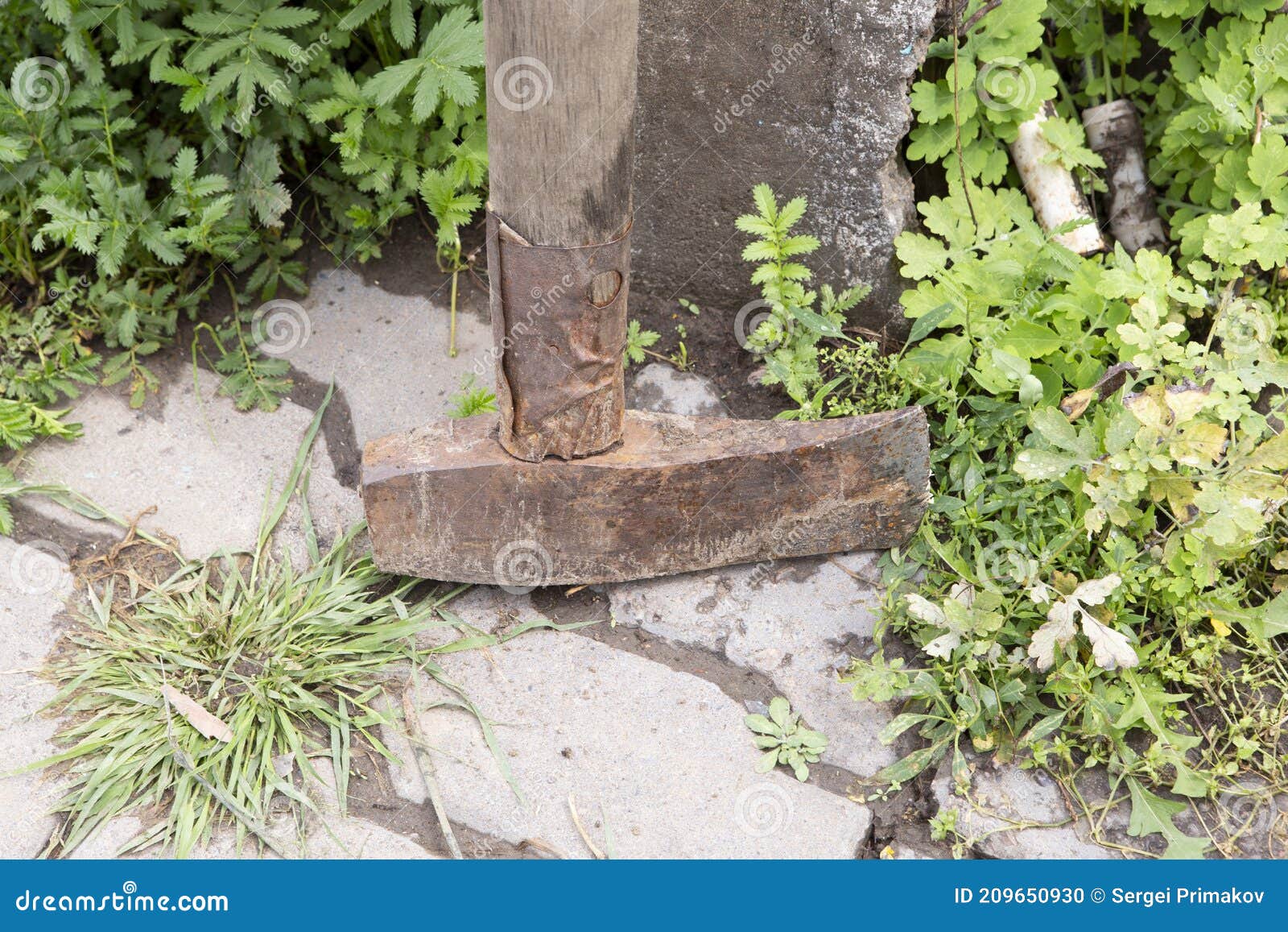 Blunt Ax for Splitting Large Chocks Stock Photo - Image of sharp, metal ...