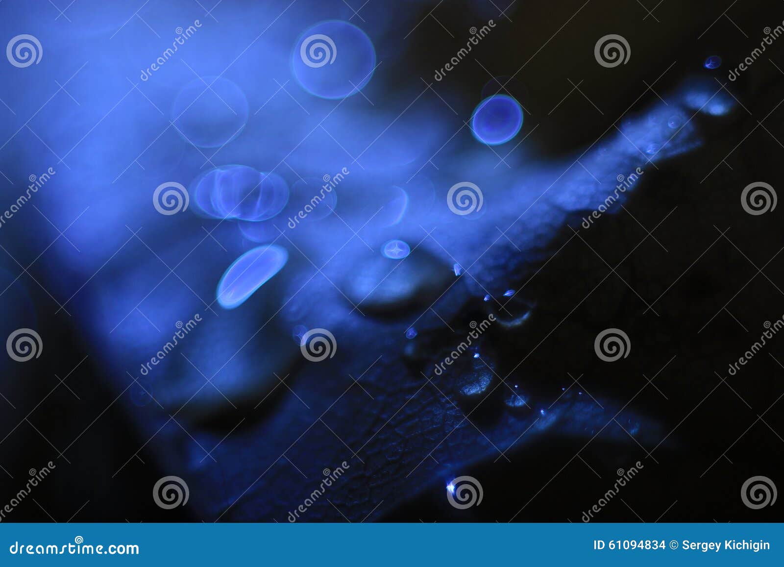Blur Background with Water Drops Stock Photo - Image of blurred ...