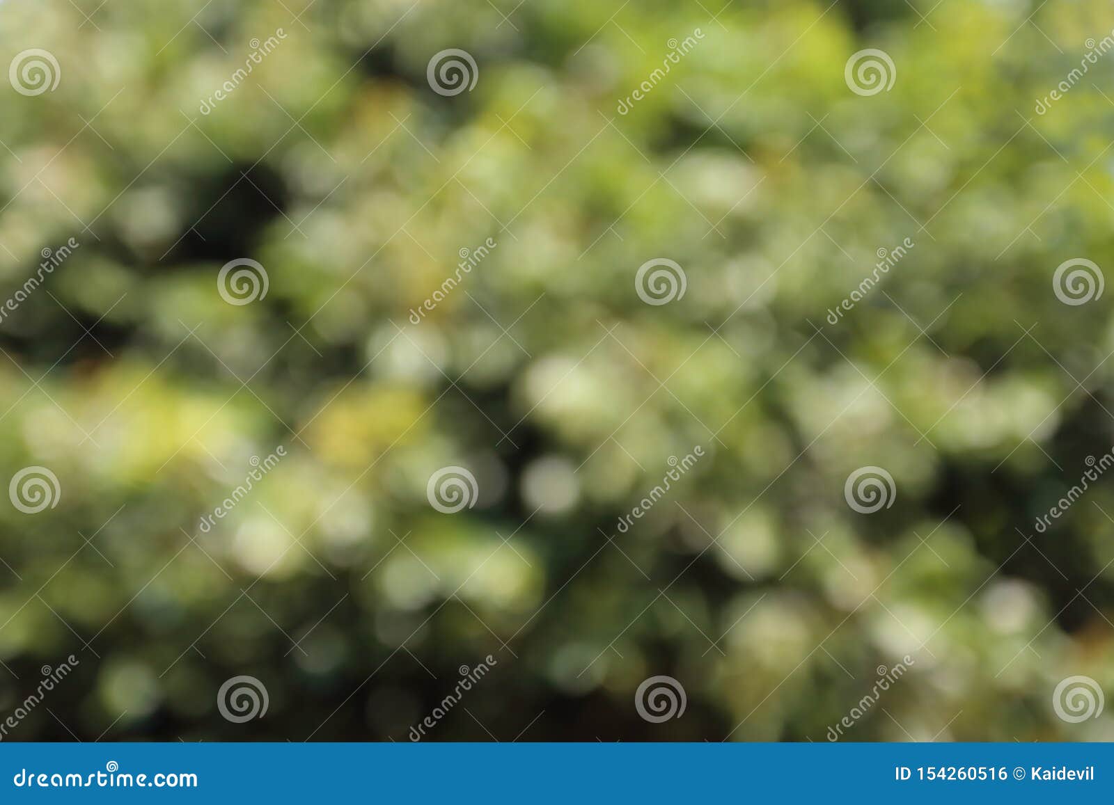 Blur bokeh from tree stock photo. Image of green, trees - 154260516