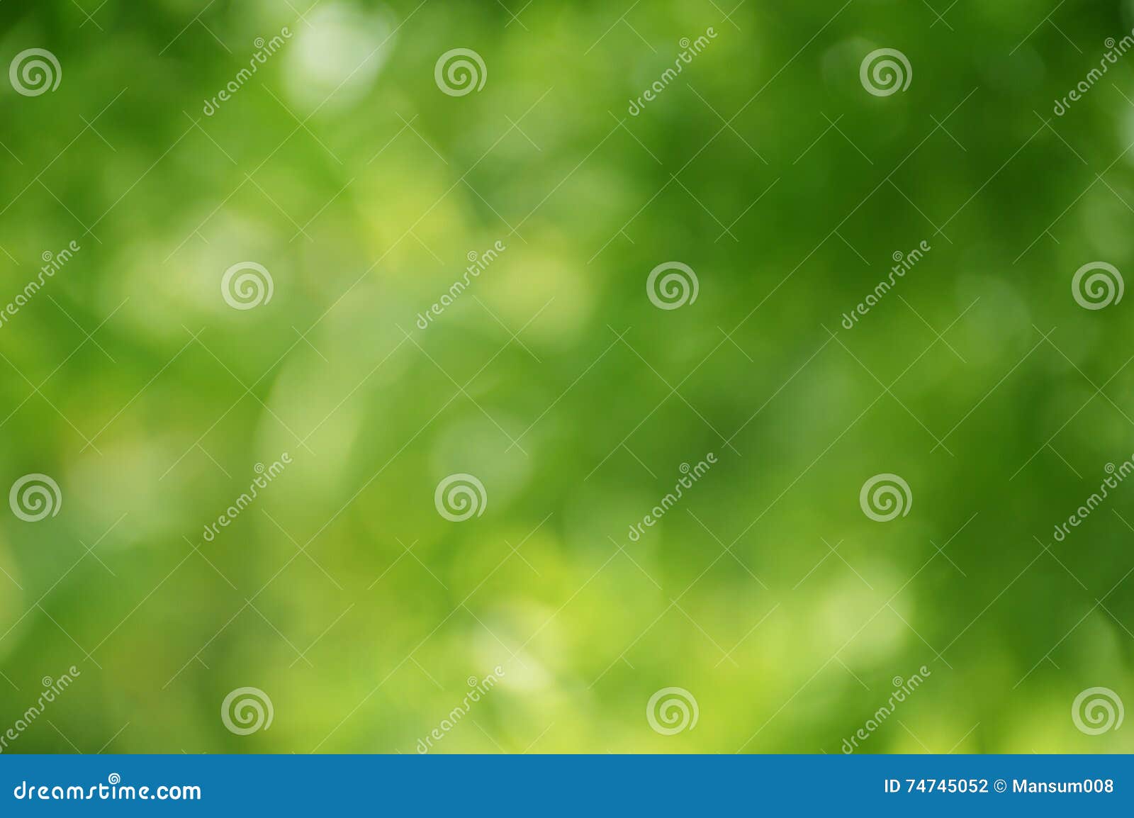 Blur Focus Green Nature Background Stock Photo - Image of streaked ...