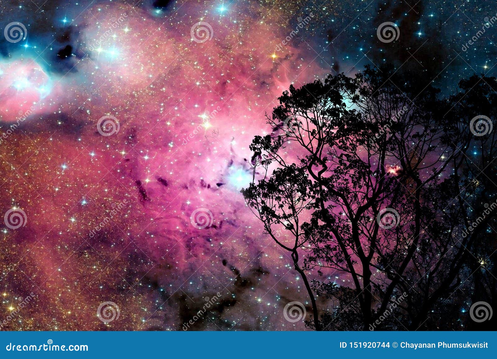 Blur Galaxy Nebula Back on Night Cloud Sky on Tree Stock Photo - Image ...