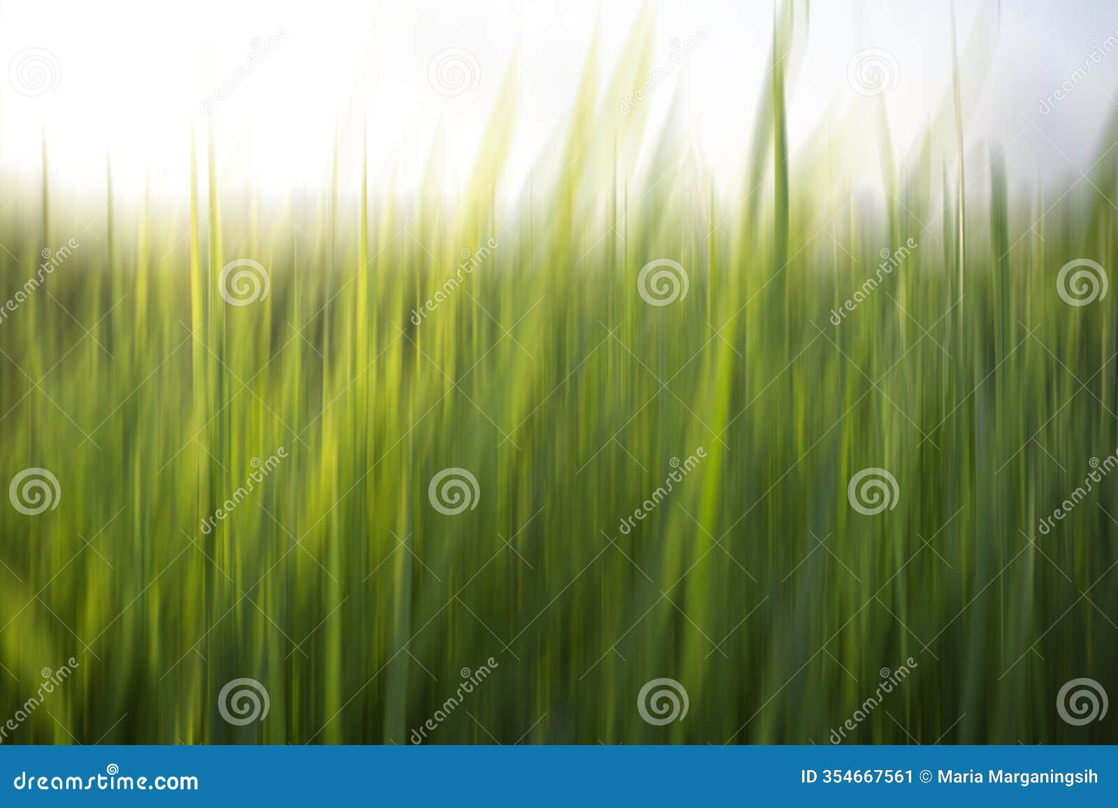 Blurry Nature Background Royalty-Free Stock Photo | CartoonDealer.com ...