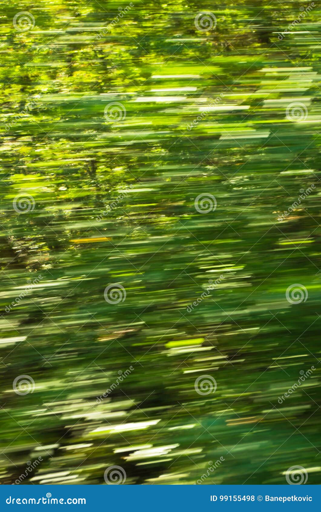 Blur of Greenery while Running Fast through the Forest, Semenic ...