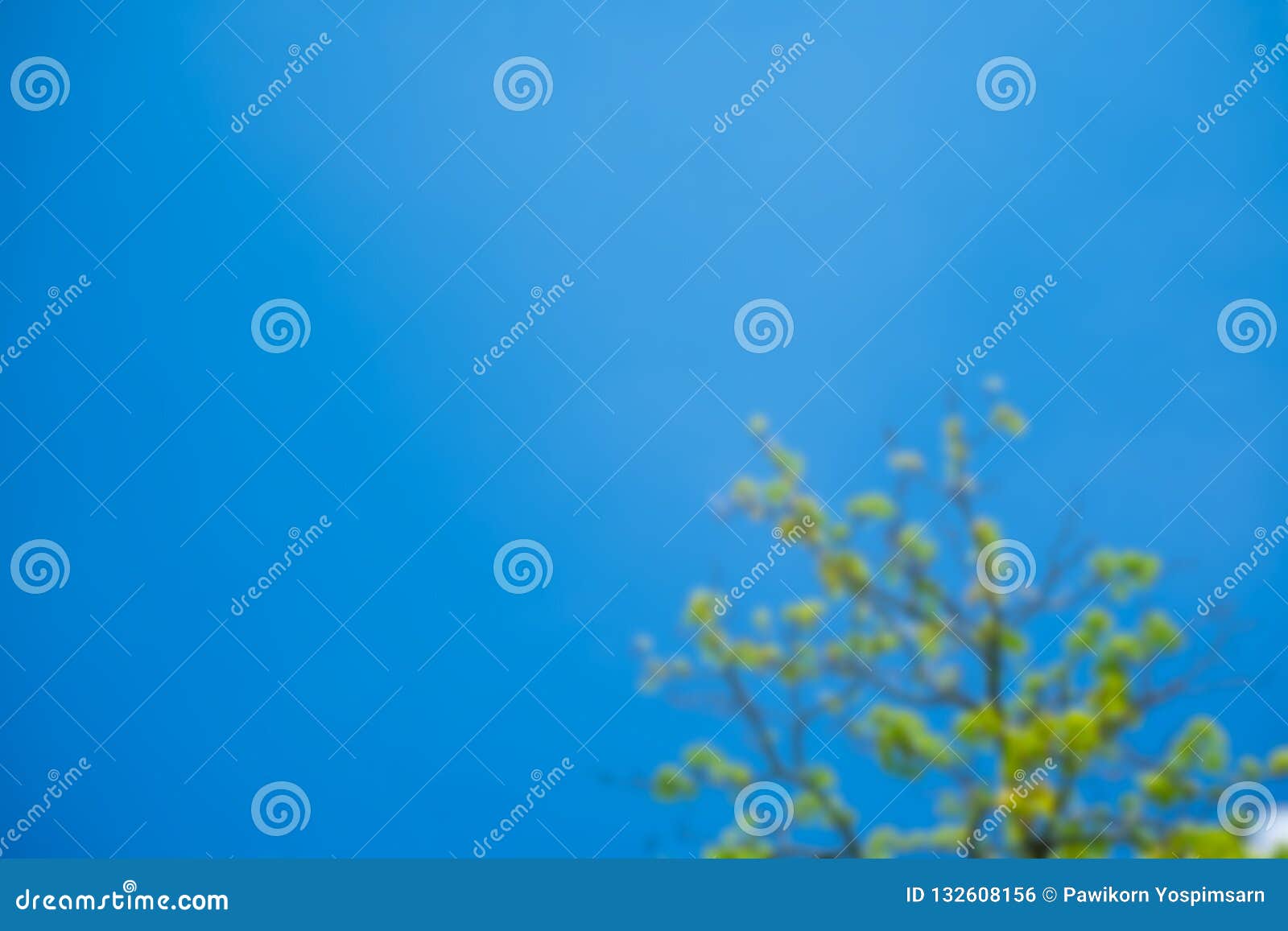 Blur Image of Green Leaf on Tree with Blue Sky Background Stock Photo ...