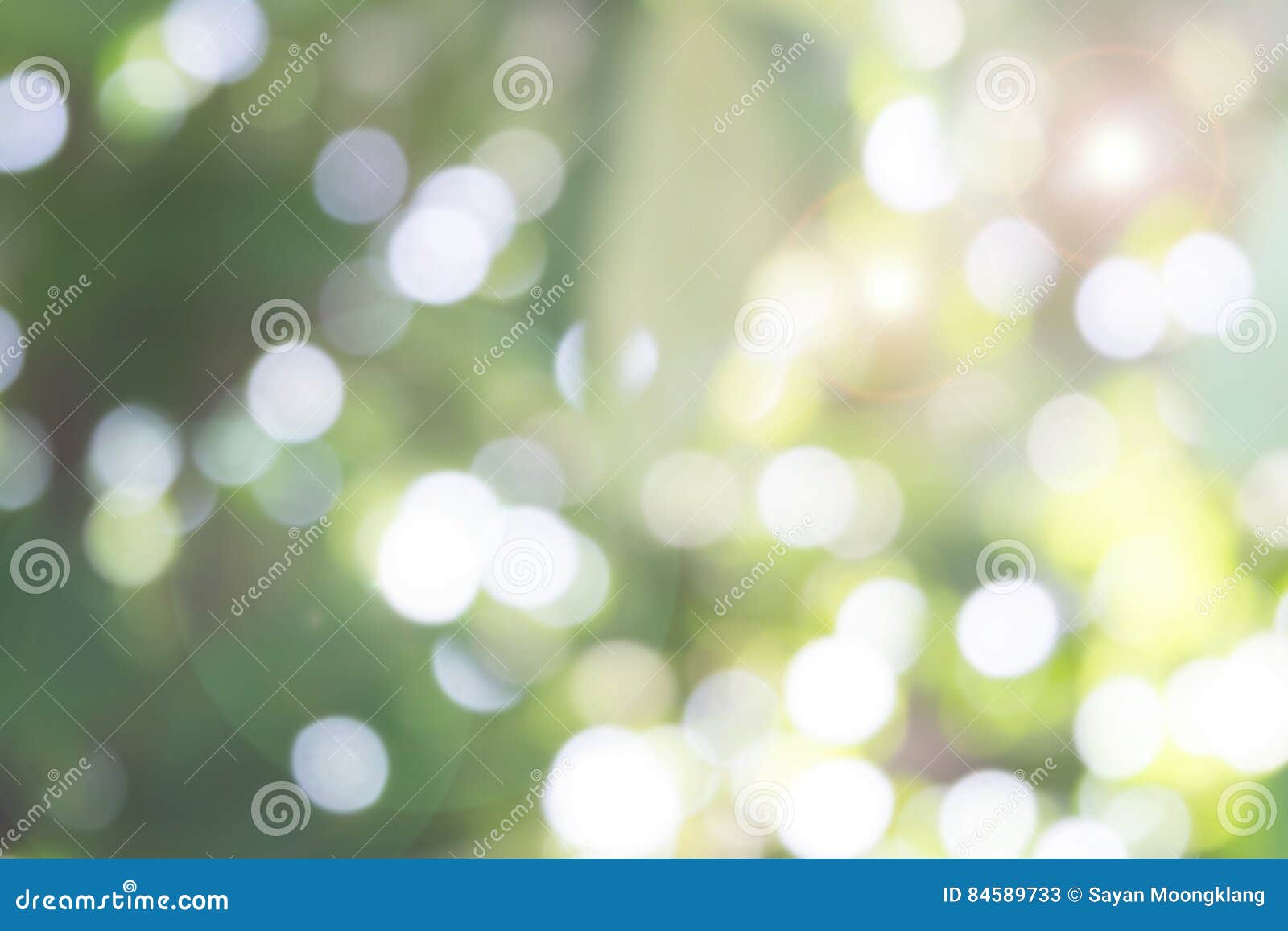 Blur Image of Light Streaming through Leaves. Stock Image - Image of ...