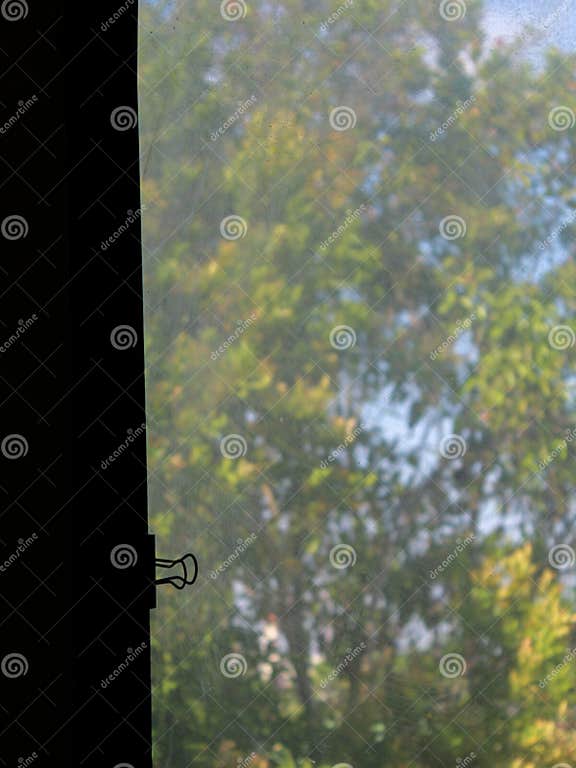 Blur Leaves on Tree View from Window Stock Image - Image of calm, bokeh: 342571235