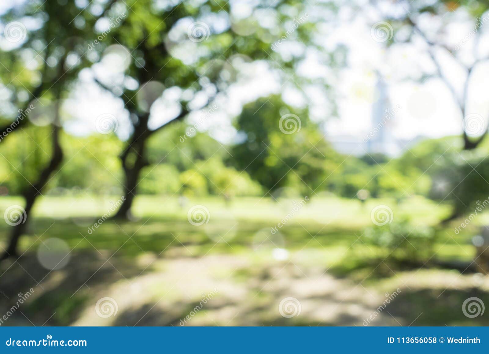 Blur Natural and Light Background in the Park. Stock Photo - Image of ...