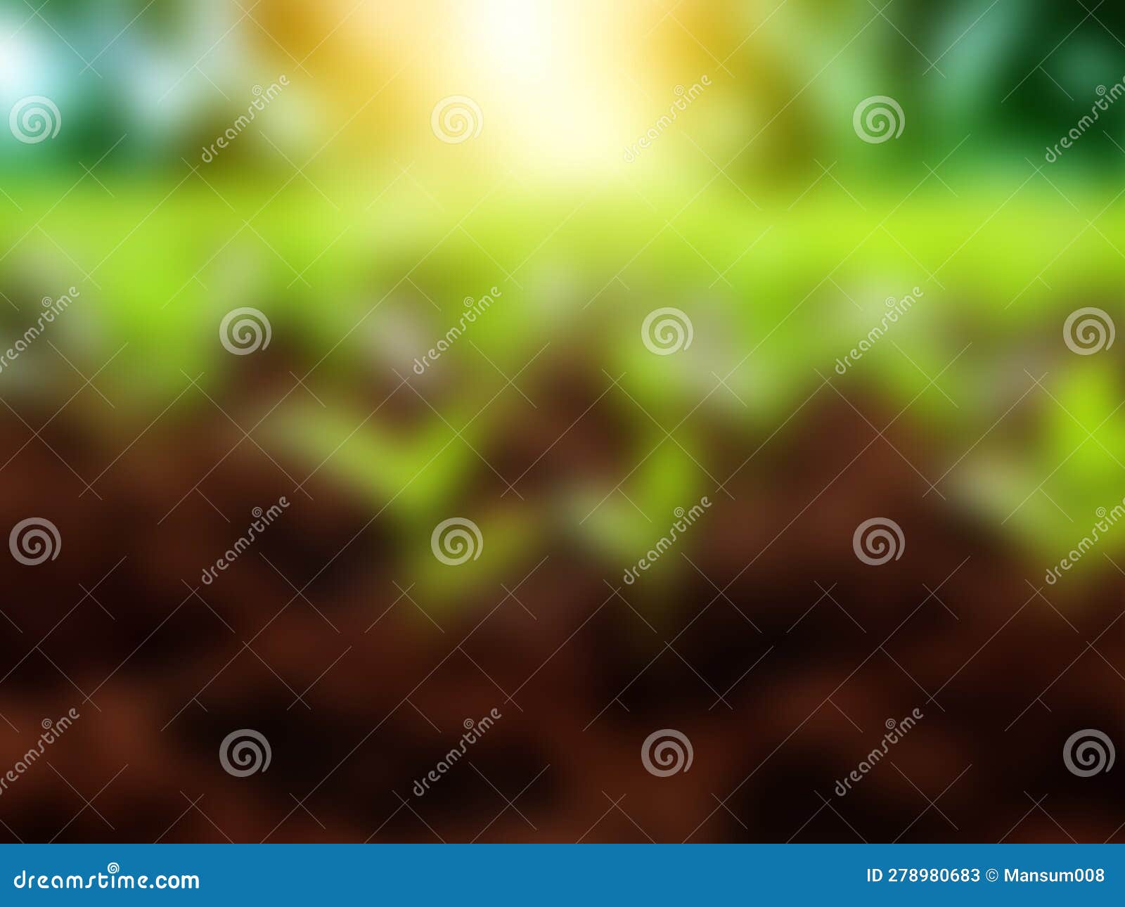Blur of Plant and Sunlight Background Stock Image - Image of ...