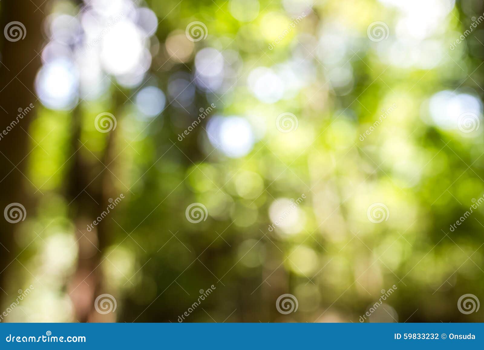 Blur tree in forest stock photo. Image of tropical, abstract - 59833232