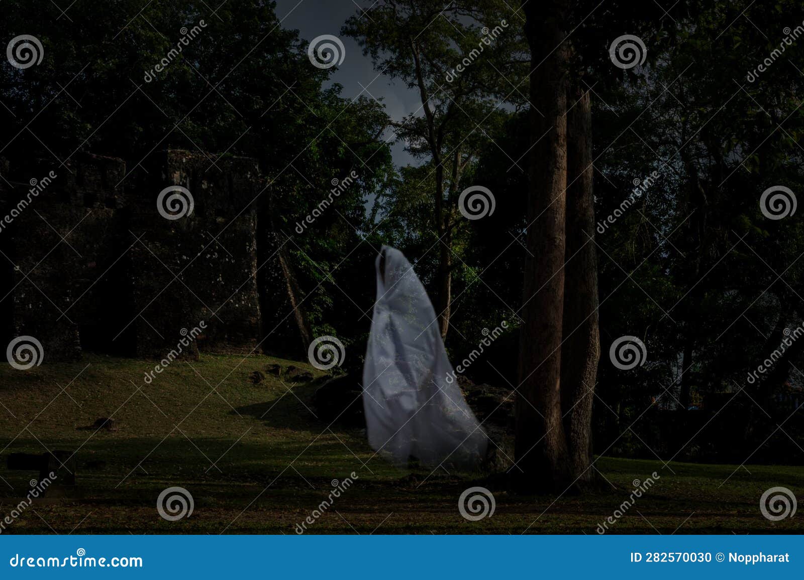 A Blur White Ghost Under Big Tree in Ancient Forest Stock Photo - Image ...