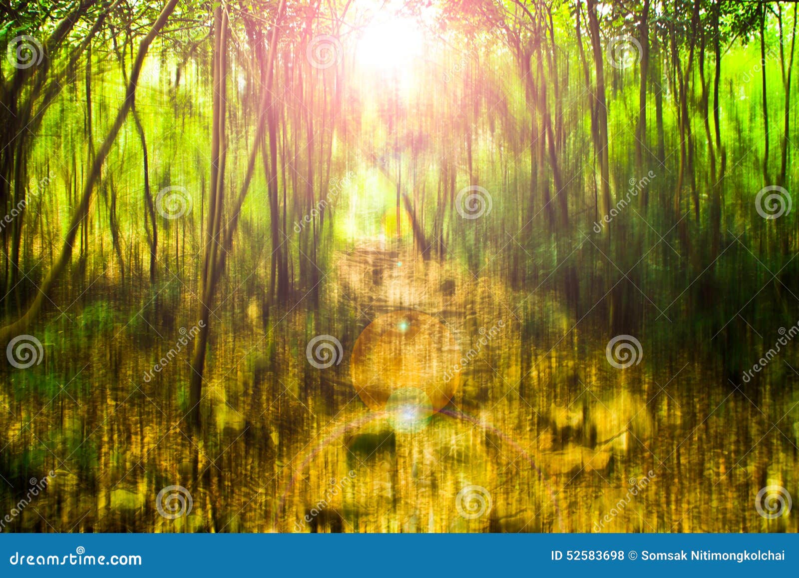 Blurred Abstract Background Photo of Forest with Surreal Motion Blur ...