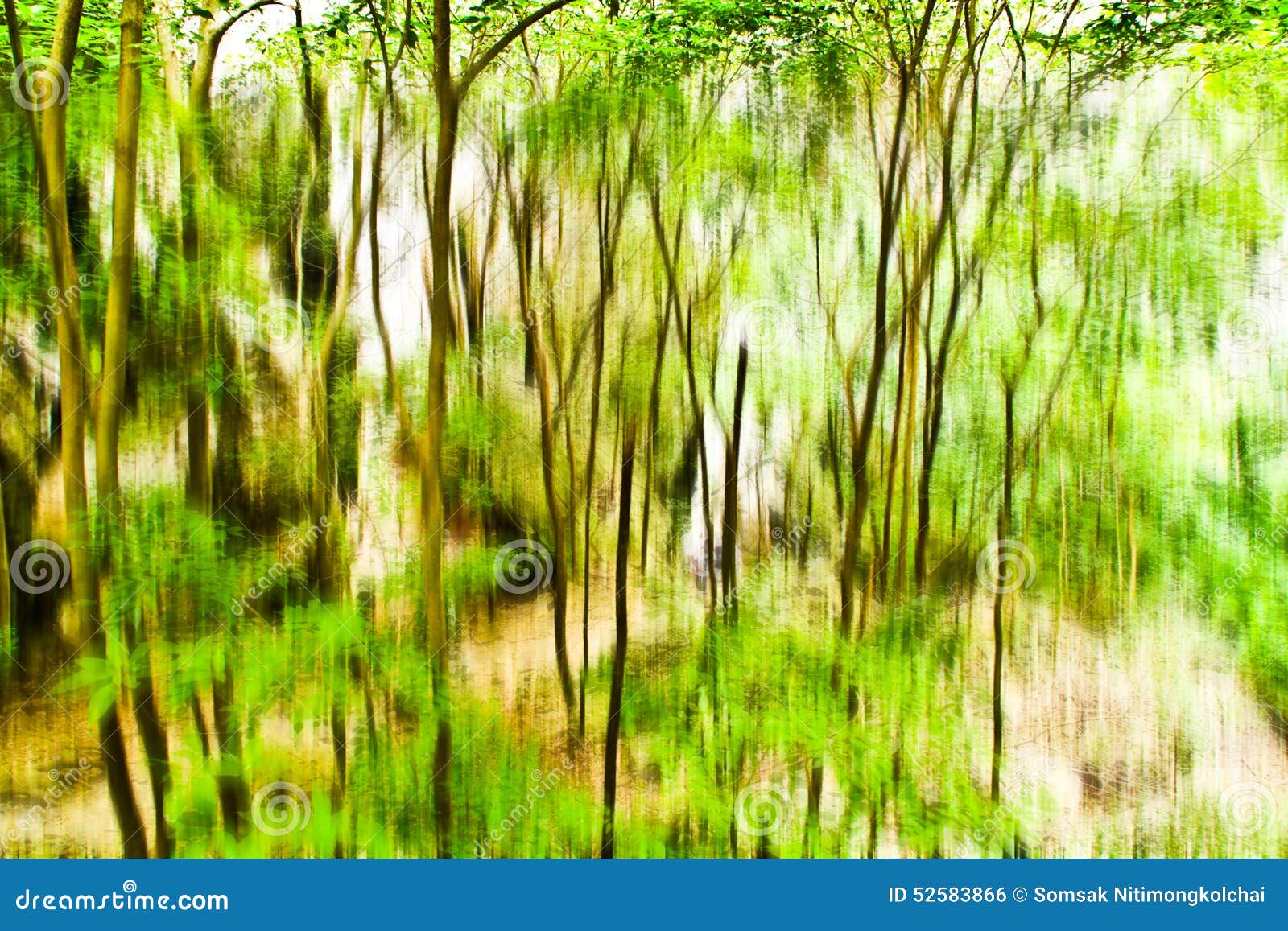 Blurred Abstract Background Photo of Forest with Surreal Motion Blur ...