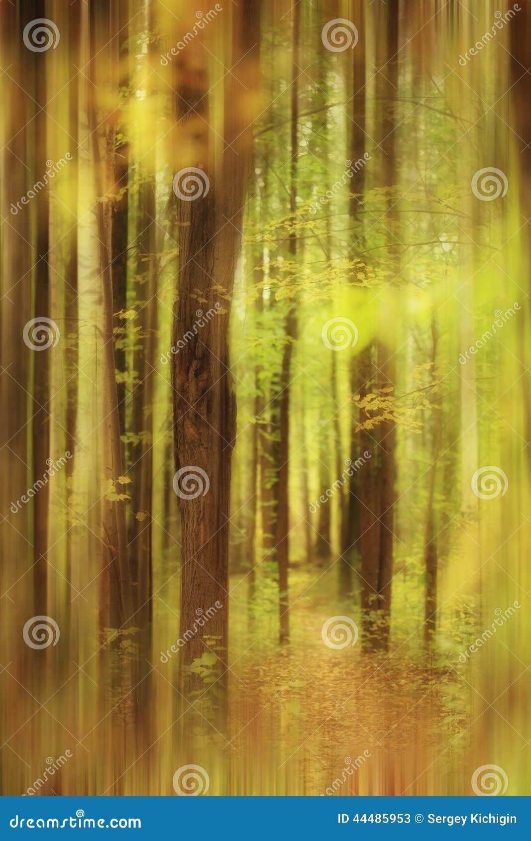 Blurred Autumn Forest Landscape Stock Image - Image of brown, fall ...