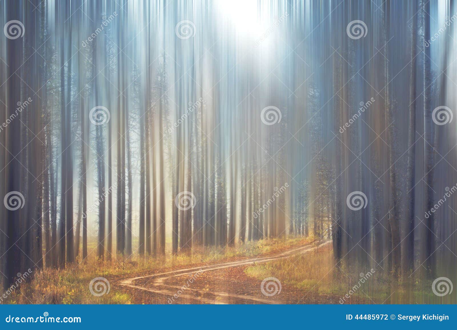 Blurred Autumn Forest Landscape Stock Photo - Image of beauty, scene ...