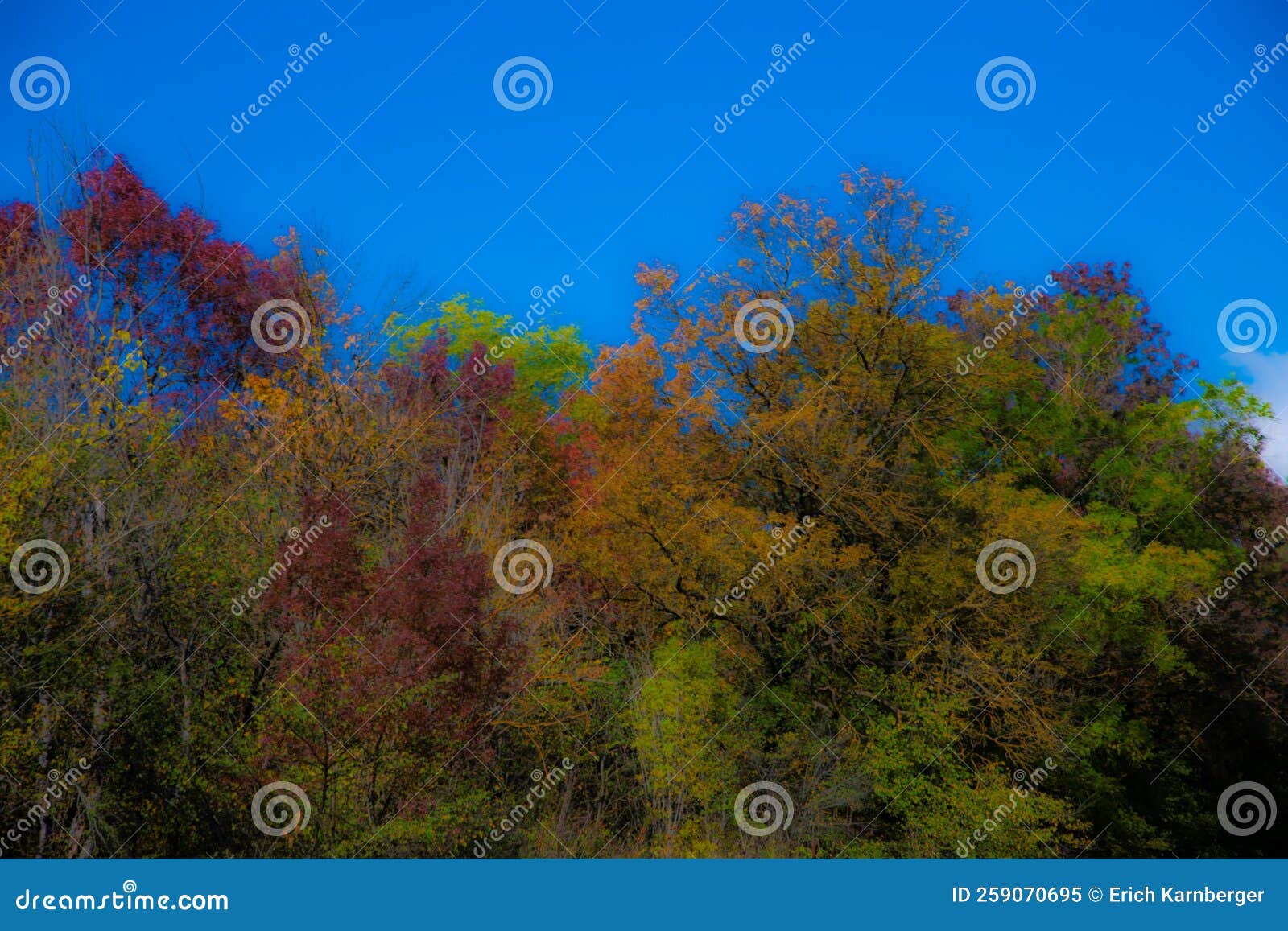 Blurred Autumn Trees and Blue Sky Stock Image - Image of forest ...