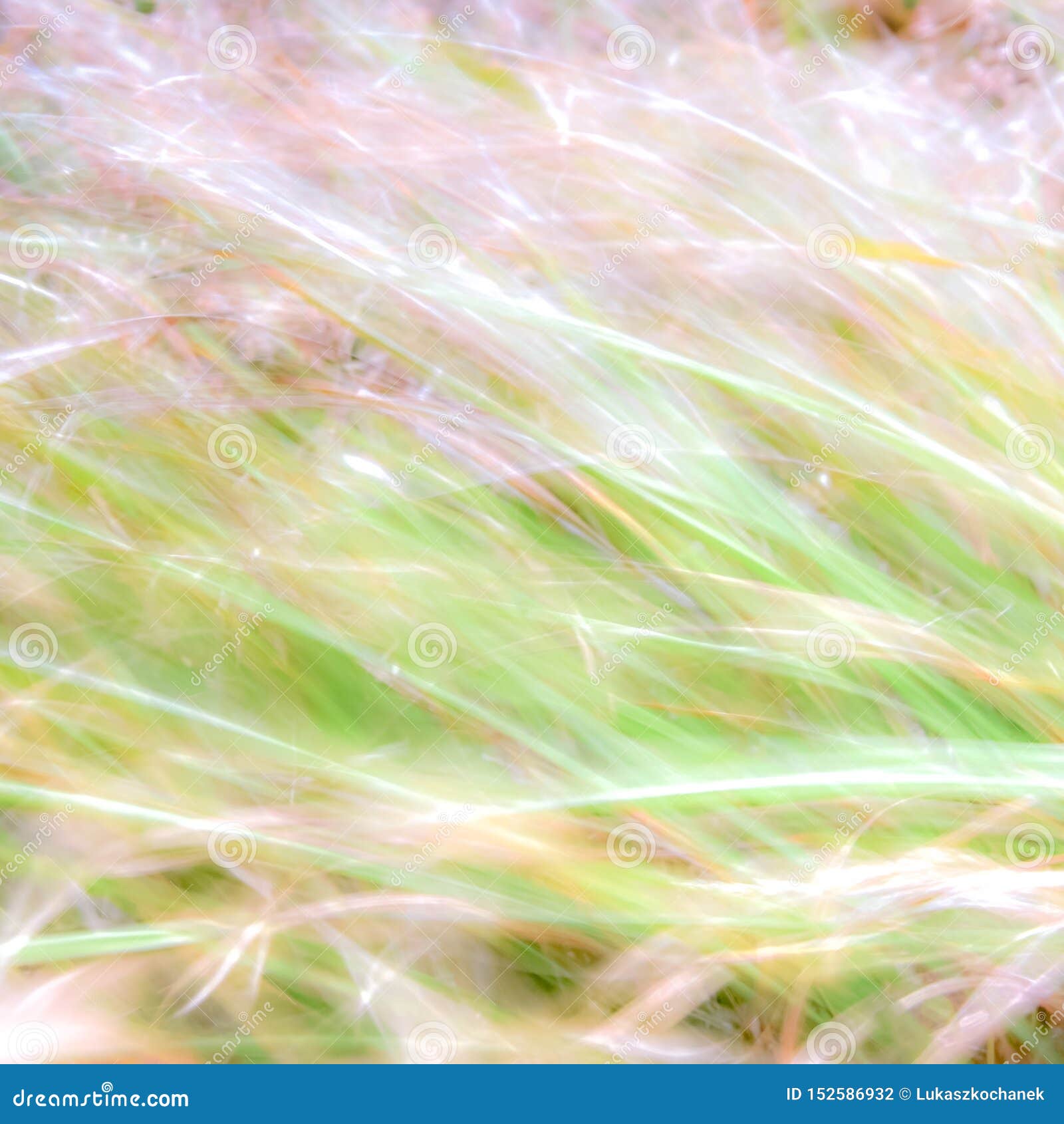 Blurred Background - Abstract Nature Backdrop - Soft Meadow Landscape ...