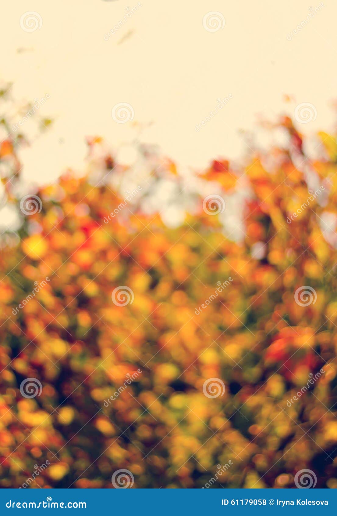 Blurred Background of Golden Autumn Leaves with Bokeh Stock Photo ...