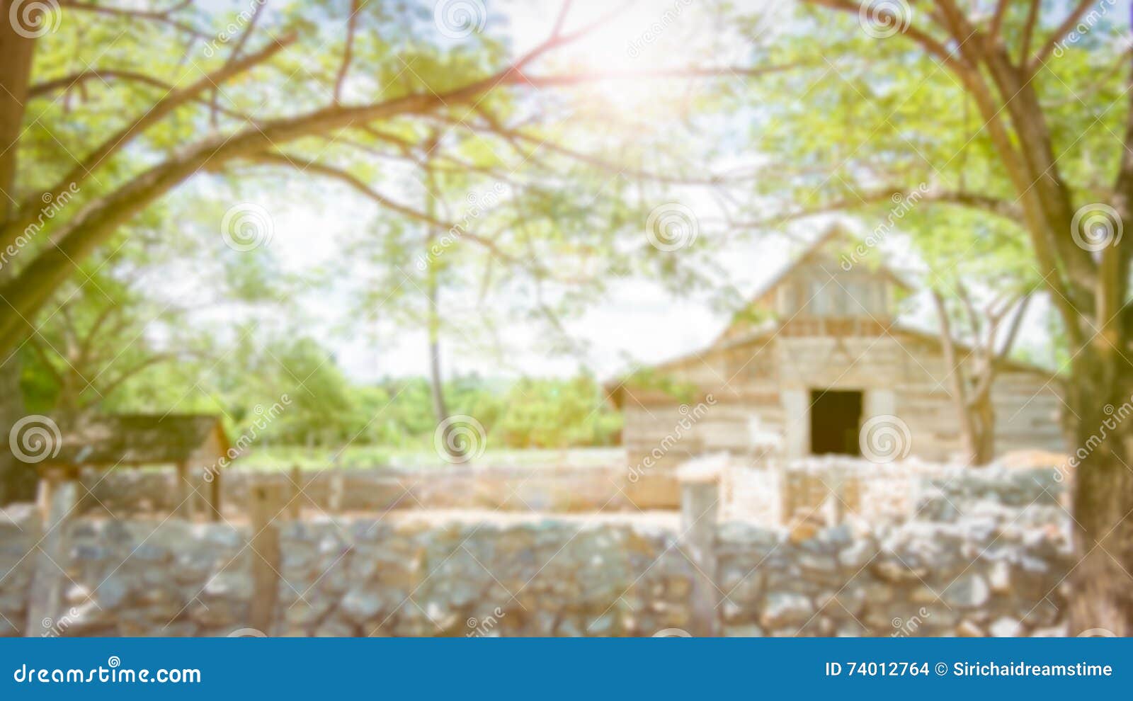 Blurred Background Horses Farm Stock Photo - Image of meadow, outdoor ...