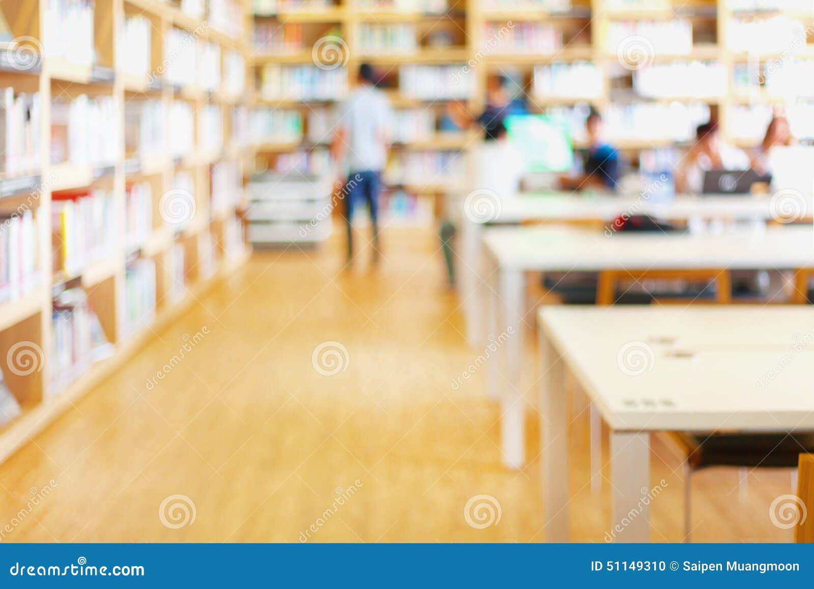 Blurred Background of Library Stock Photo - Image of literature, inside ...