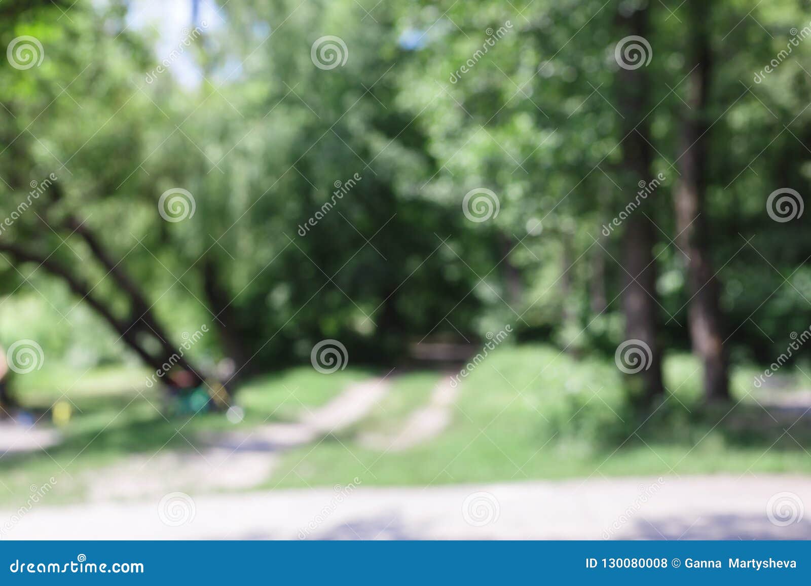 Blurred Background, Summer Forest, Summertime, Forest, Picnic in Stock ...
