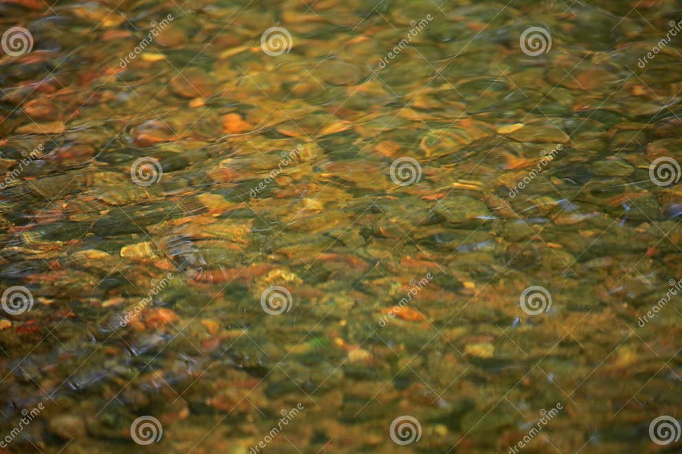 Blurred Background and Texture of the River Pod. the Bottom of the ...