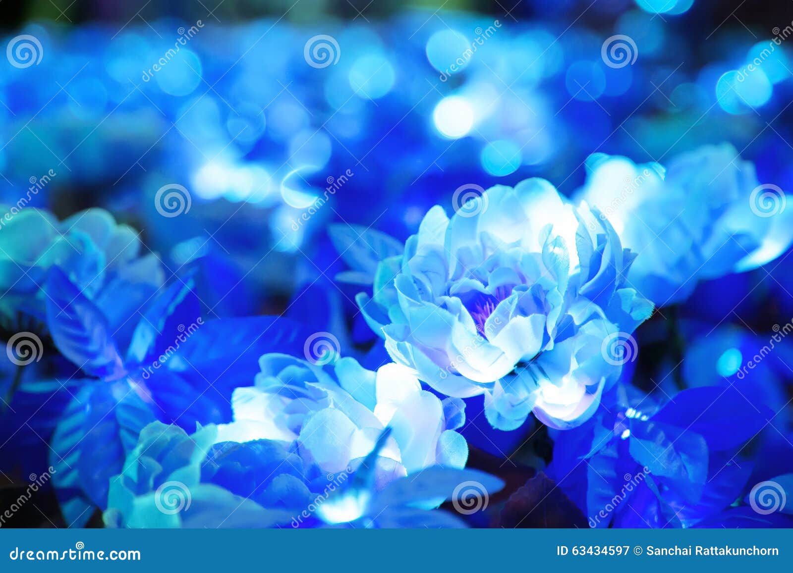 Blurred of Blue Flower with Round Shape Illuminated LED Lighting Stock ...