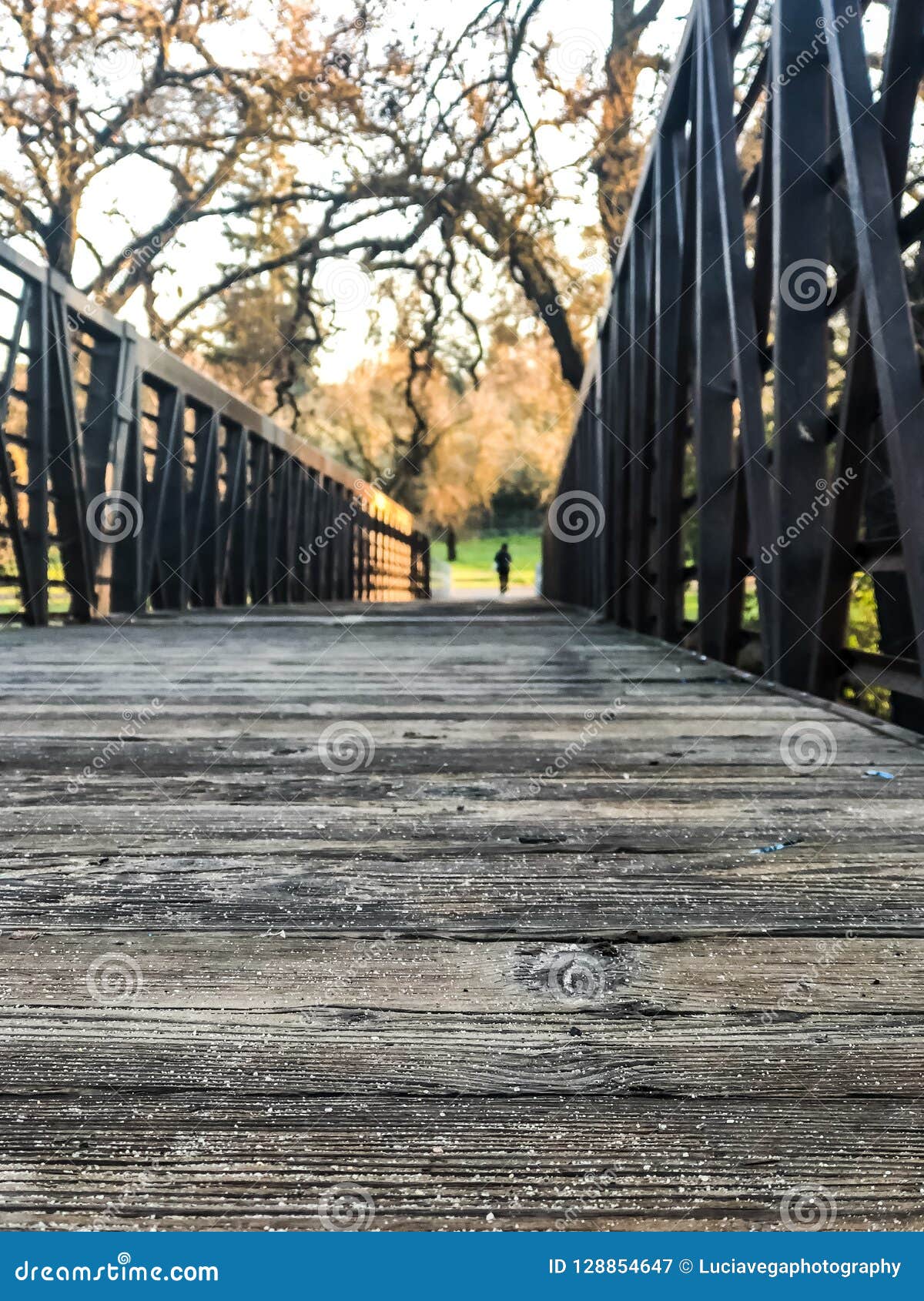 Blurred Bridge in Modesto Scenic Park Stock Image - Image of bright ...