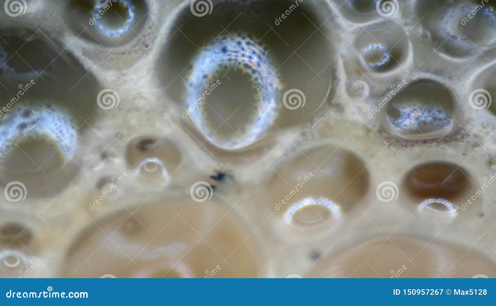 Blurred Cluster of Bubbles on Surface Stock Image - Image of freshness ...