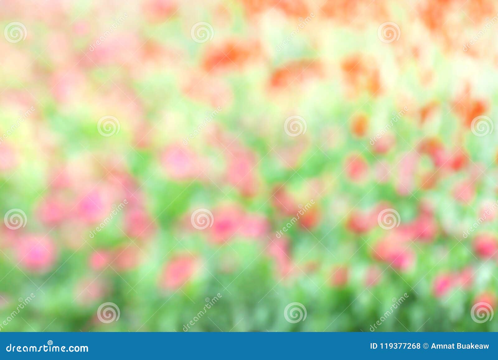 Blurred Flower Fields Background, Retro Style Color Stock Photography ...