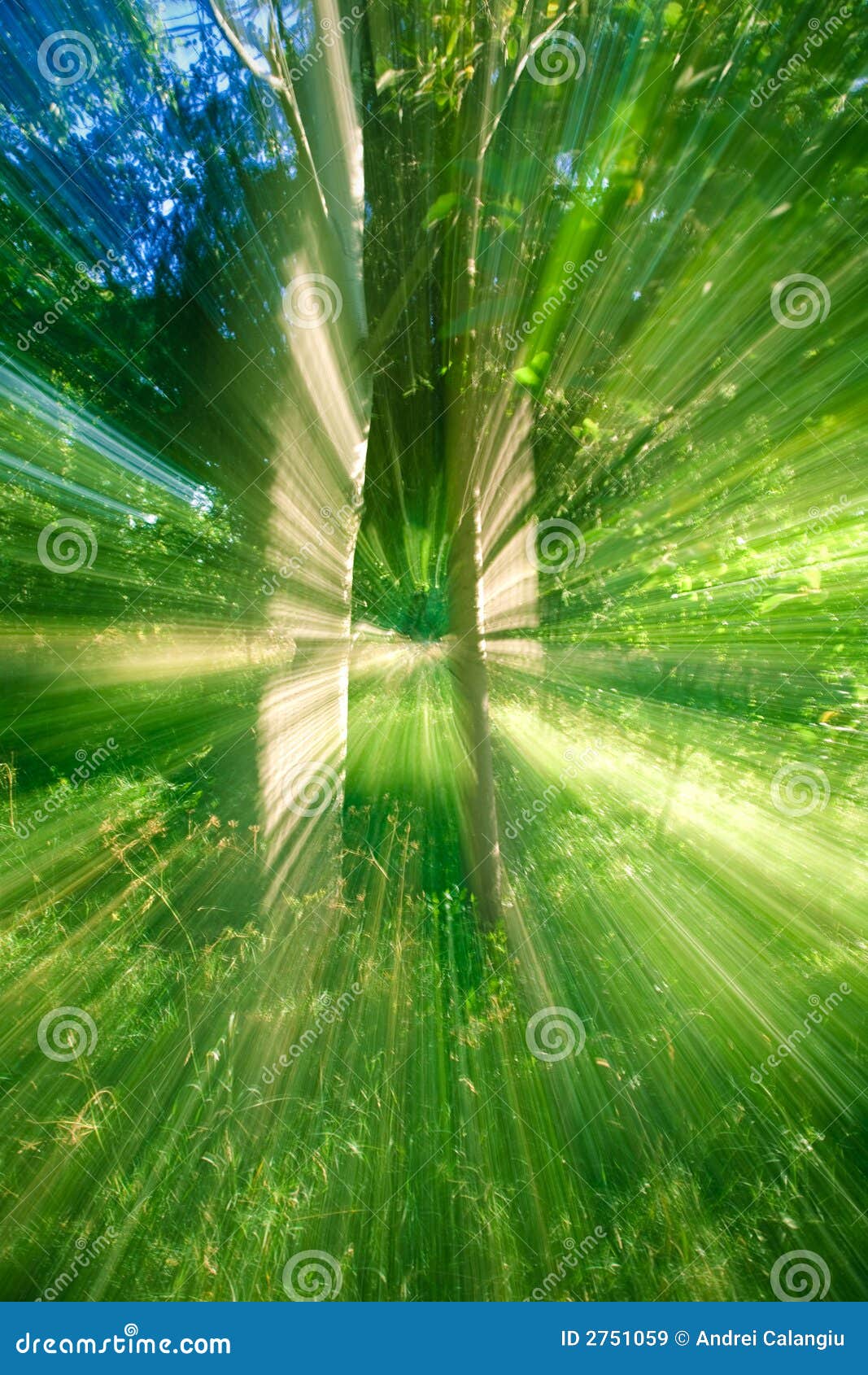 Blurred forest stock image. Image of natural, green, summer - 2751059