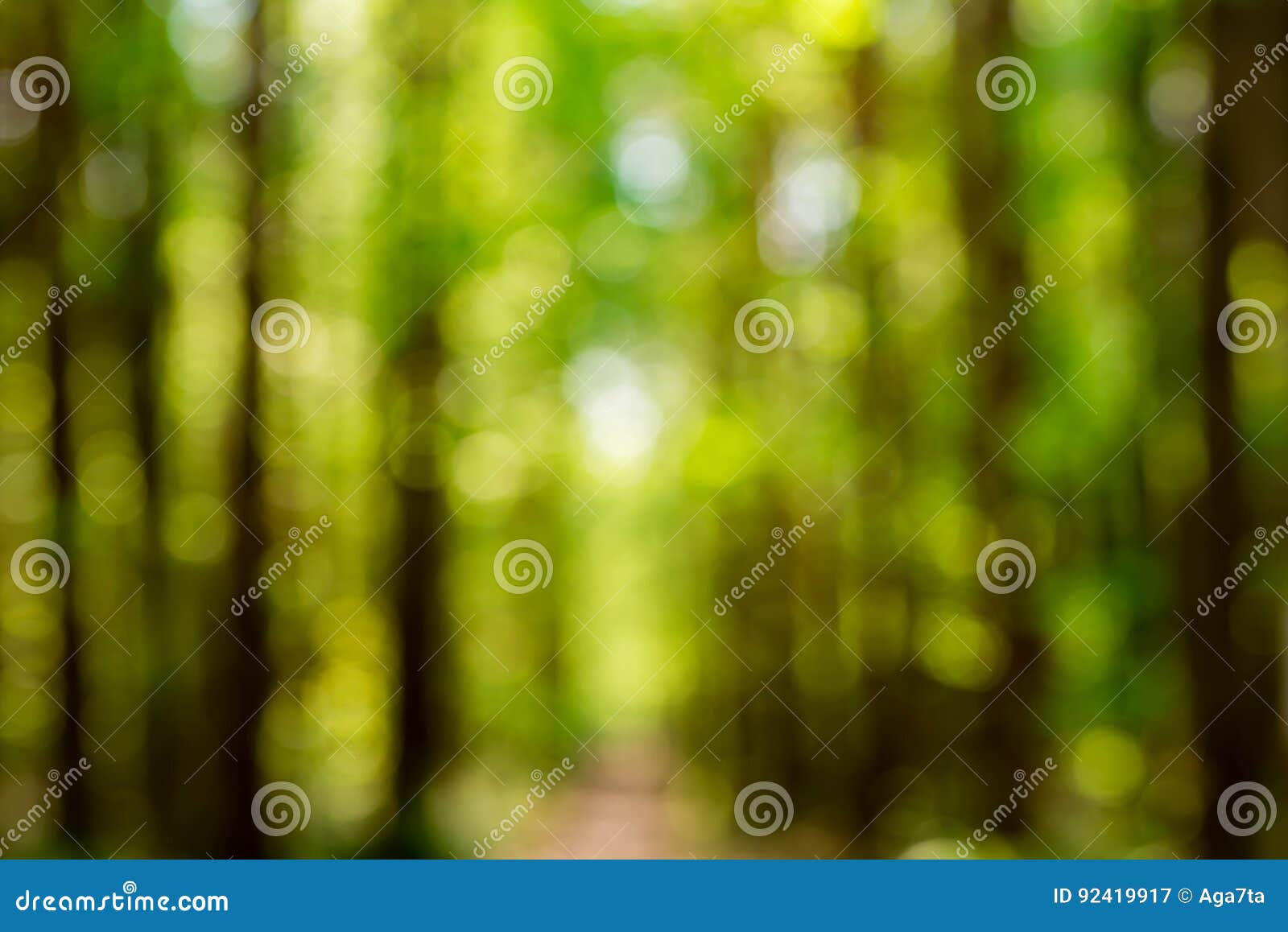 Blurred forest background stock image. Image of lush - 92419917