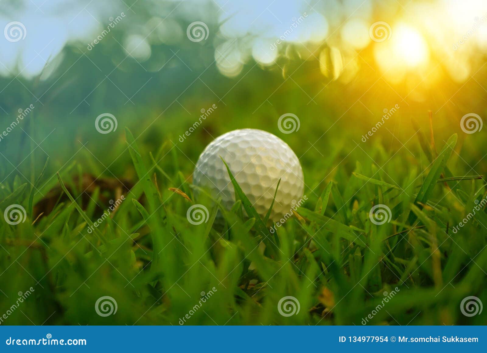 4,470 Golf Course Rough Stock Photos - Free & Royalty-Free Stock Photos ...
