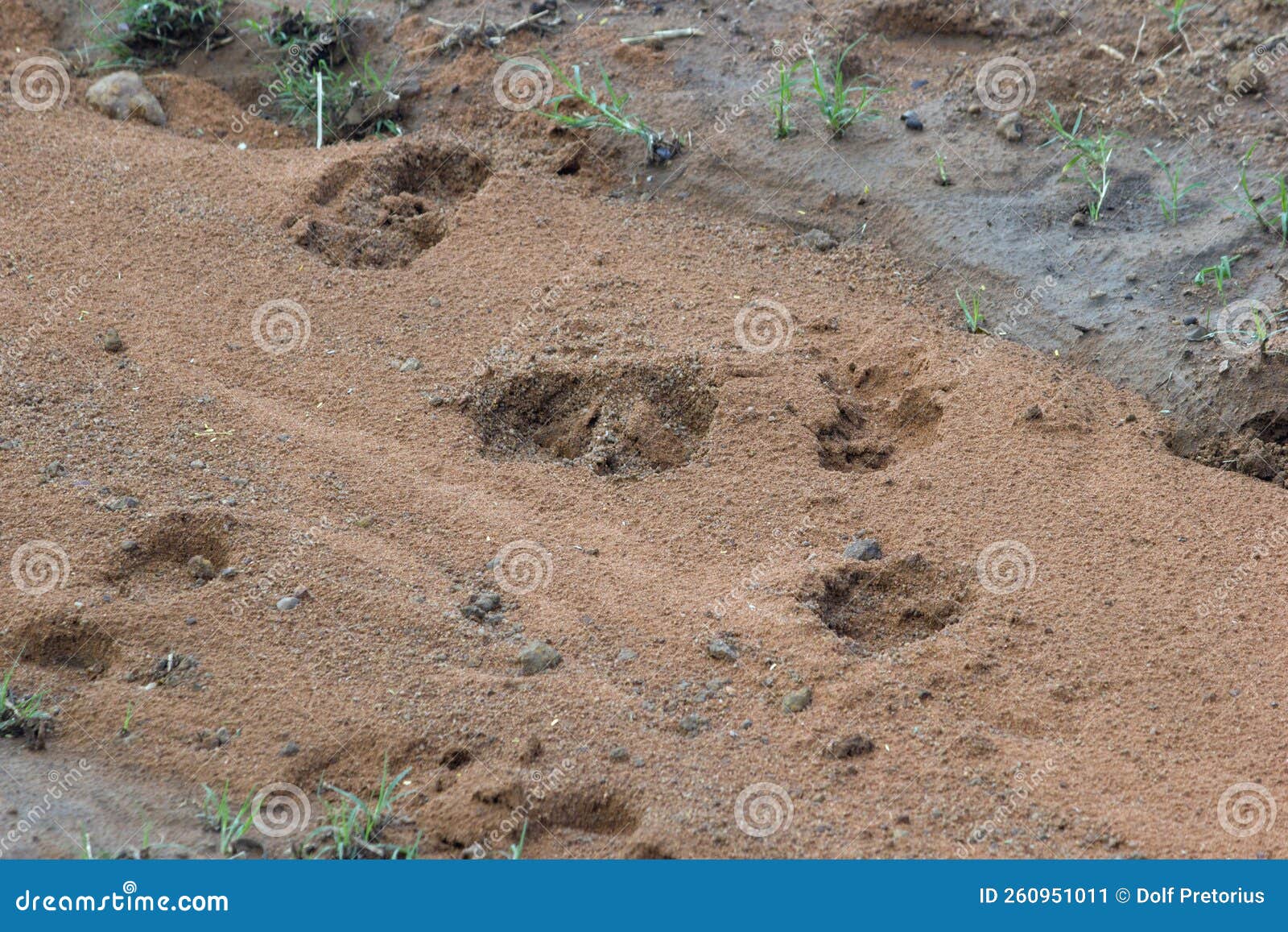 Blurred Blue and Orange Block Pattern Stock Image - Image of pattern ...