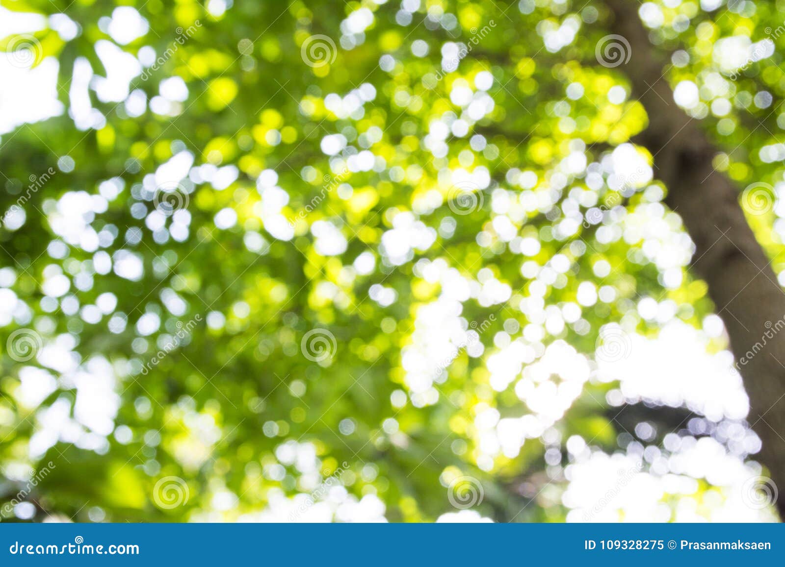 Blurred Green Leaf Background Stock Image - Image of foliage, nature ...