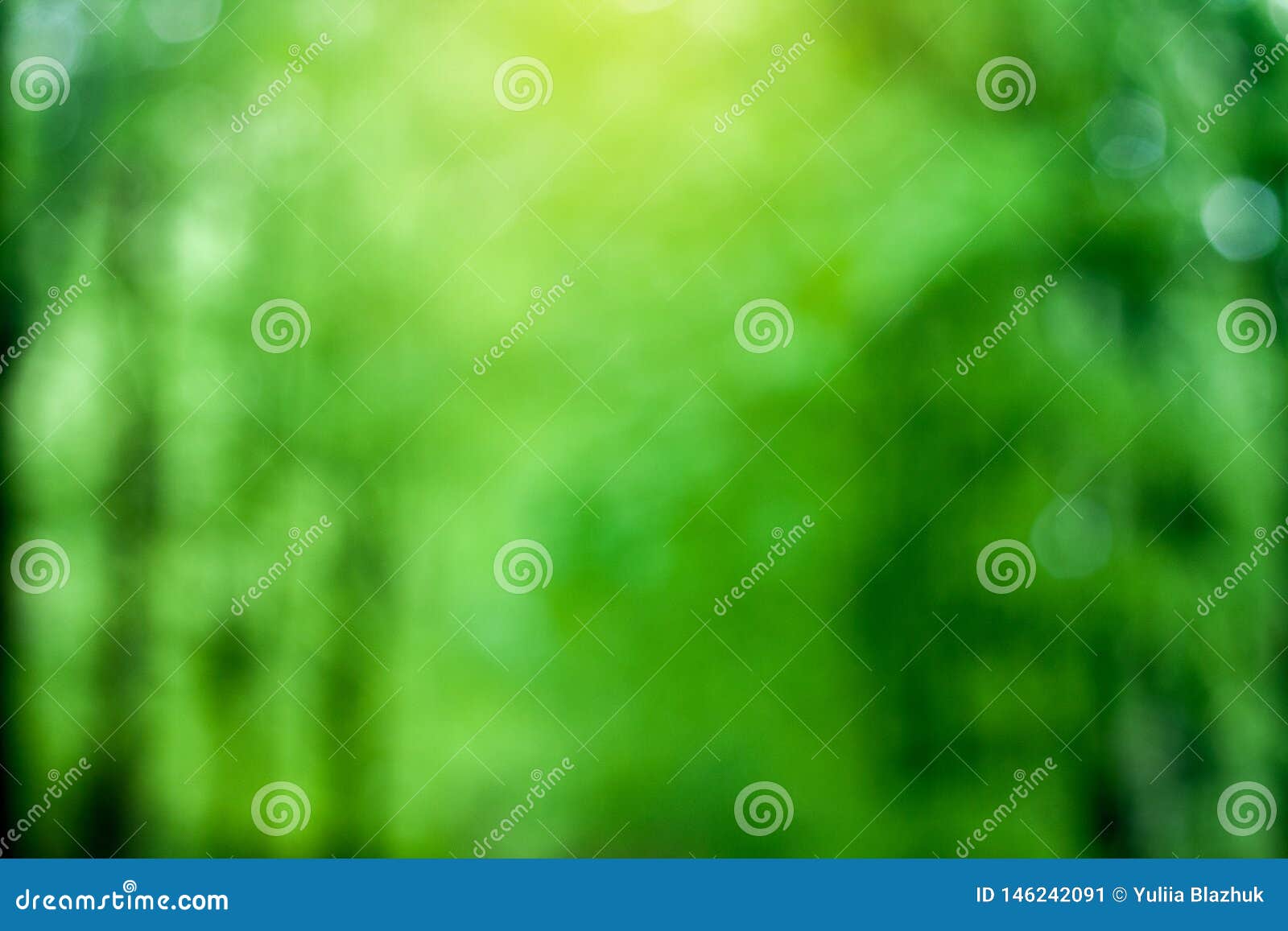 Blurred Green Trees Forest Background Stock Image - Image of leaves ...