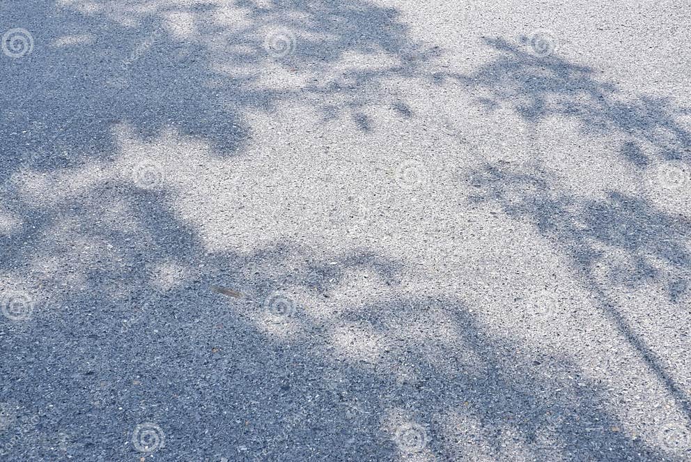 Blurred a Group of Tree Leaves Shadow on a Rock Pathway with Sunlight ...