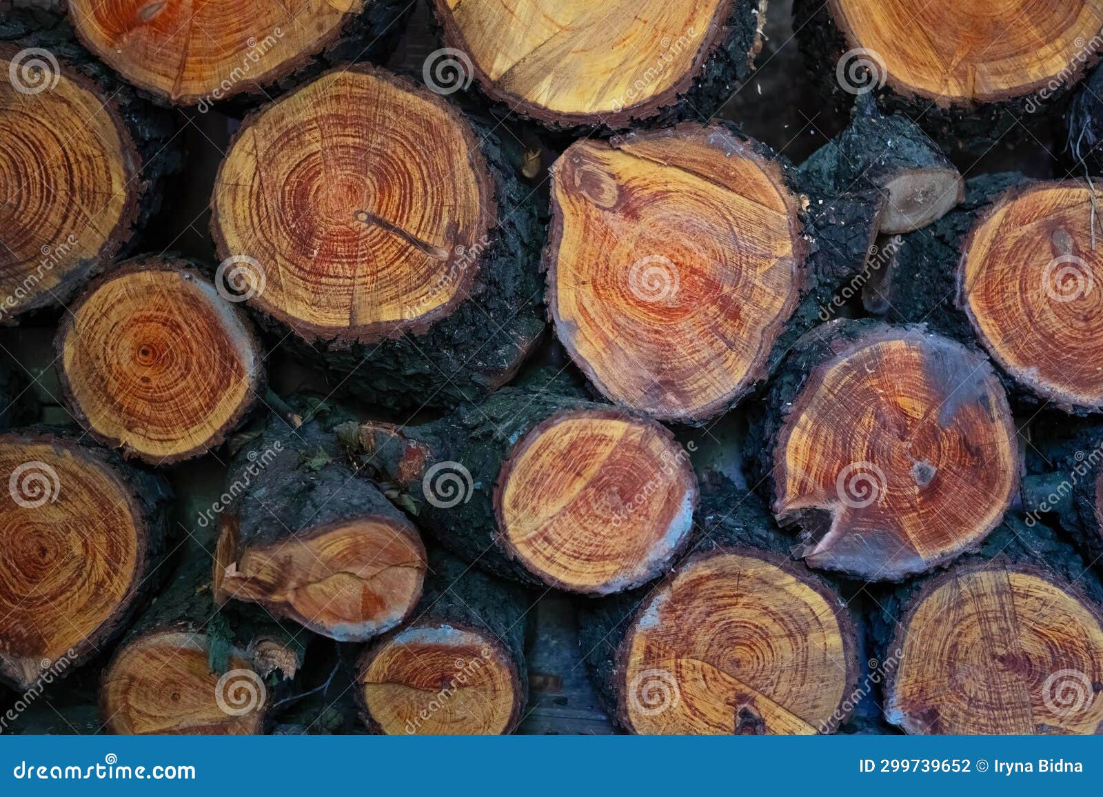 Blurred Image of Chopped Alder Logs Stock Photo - Image of wood ...