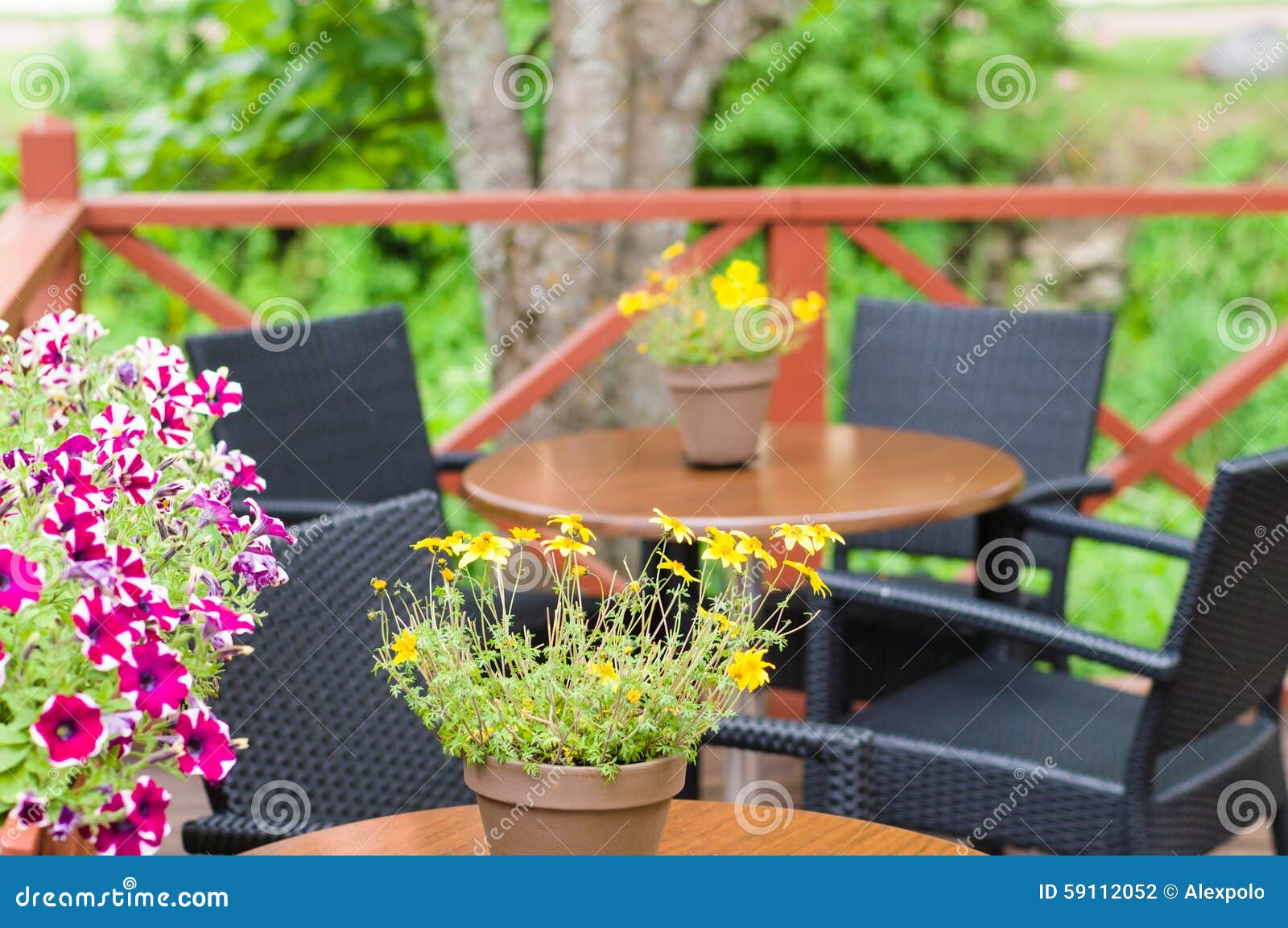 Blurred Image of Outdoor Terrace Cafe with Flower Pots Stock Photo ...