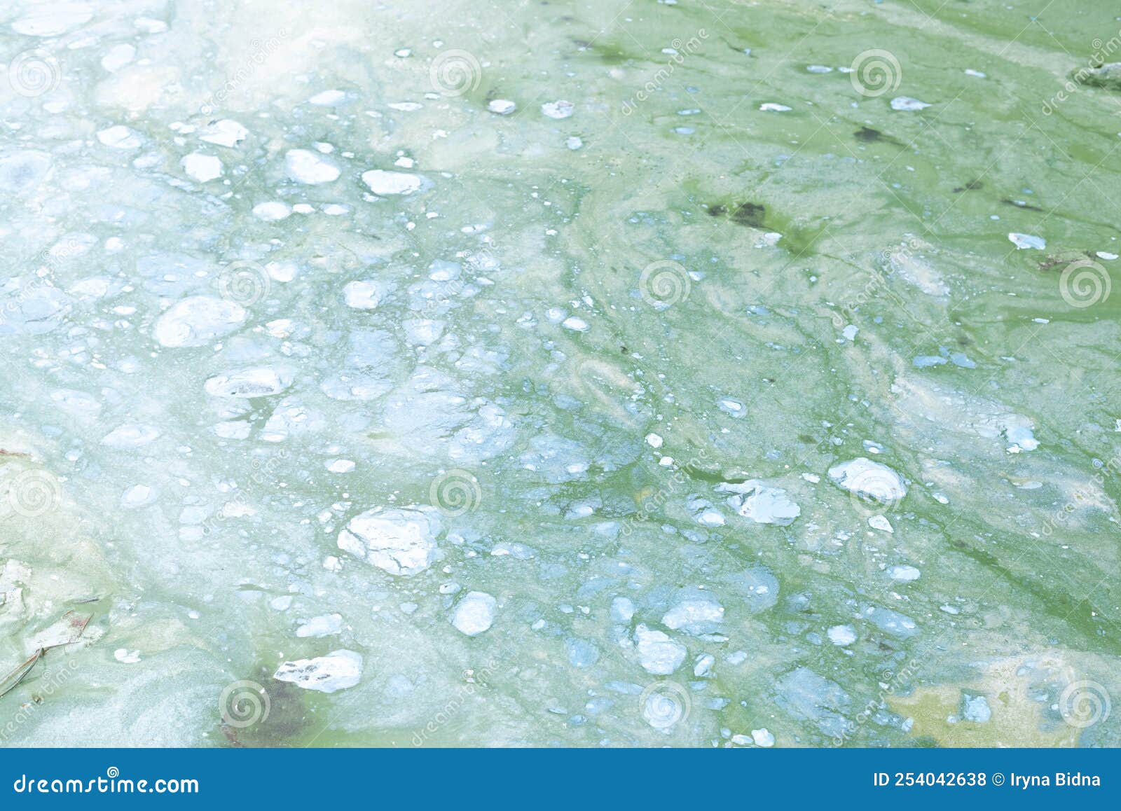 Blurred Image of Polluted Water in the River by Blue-green Algae Stock ...
