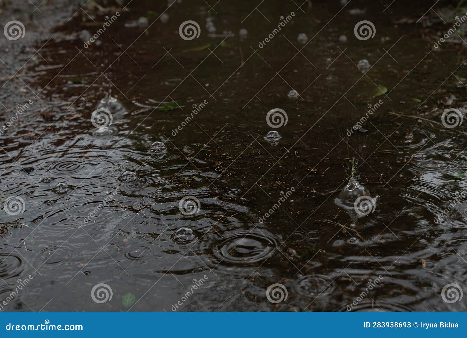 Blurred Image of a Puddle during Rain Stock Image - Image of bubble ...