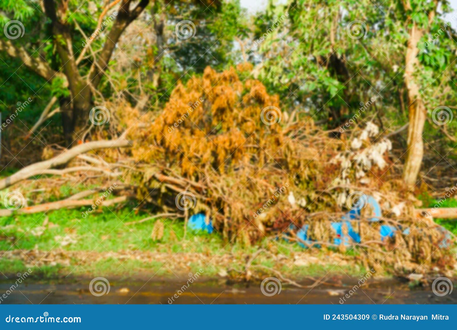 Blurred Image, Super Cyclone Amphan Uprooted Tree Which Fell and ...