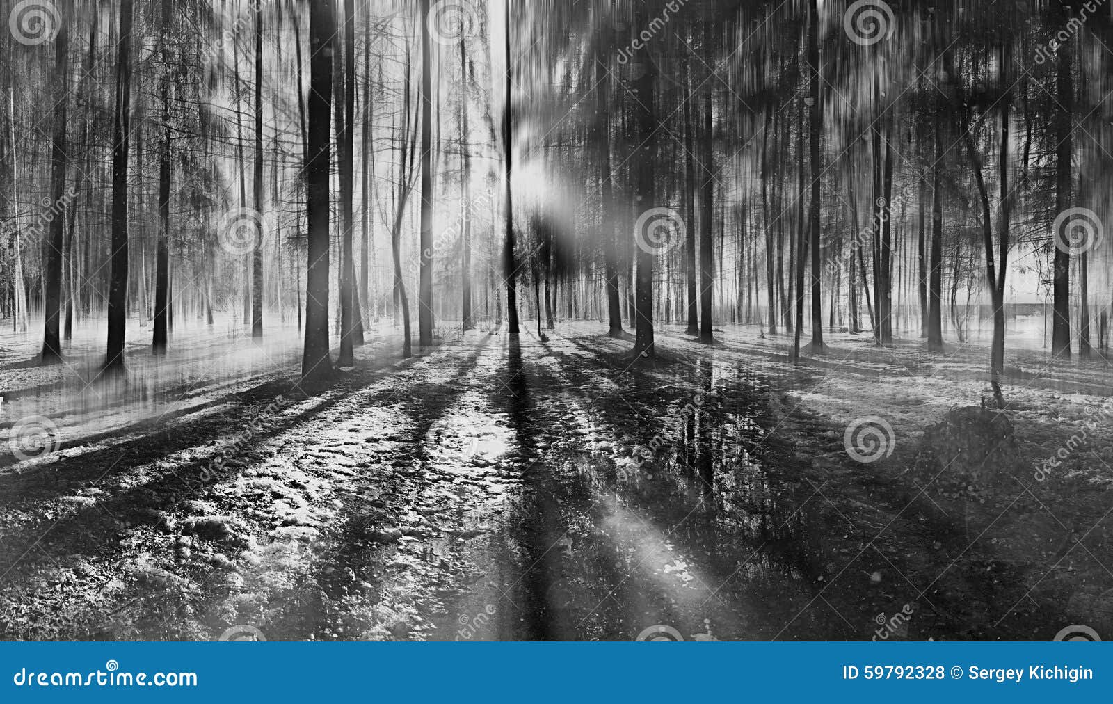 Blurred Landscape in Forest Stock Photo - Image of colorful ...
