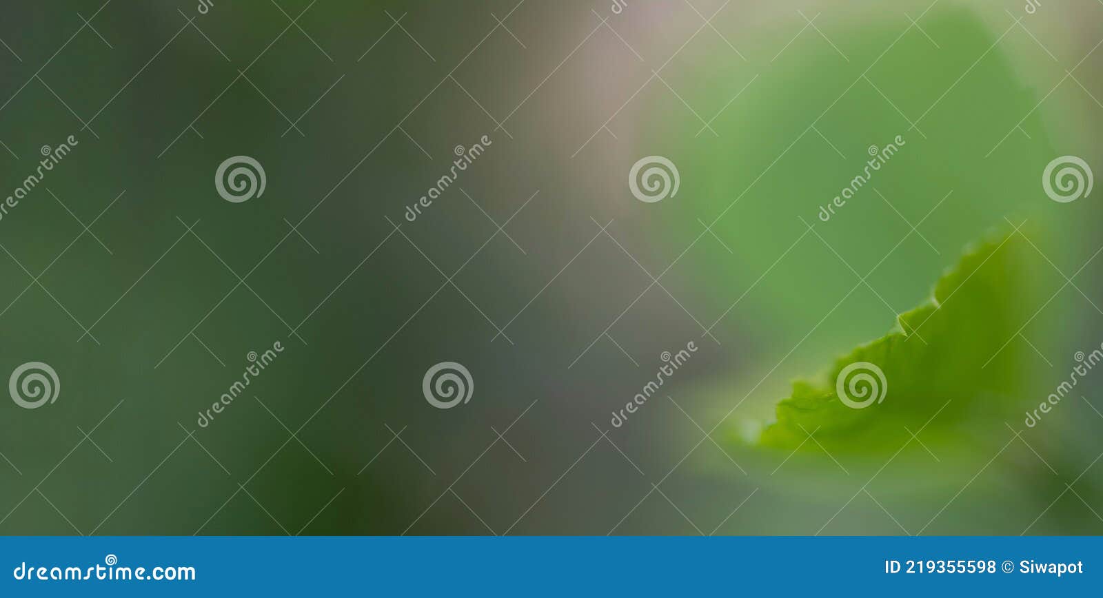 Blurred Nature Green Background Stock Photo - Image of closeup, garden ...