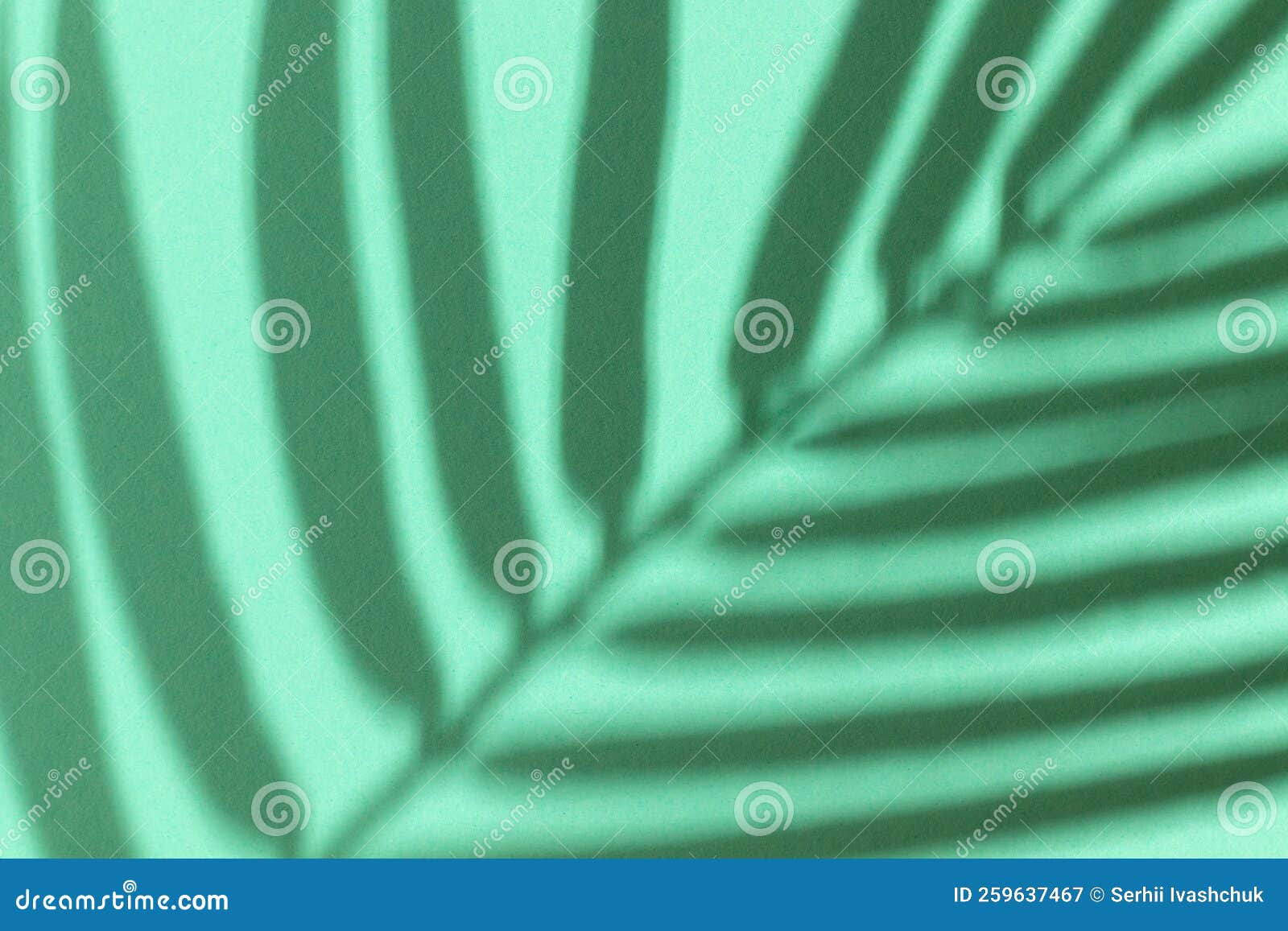 Blurred Palm Leaf Shadow on Blue Background. Stock Image - Image of ...
