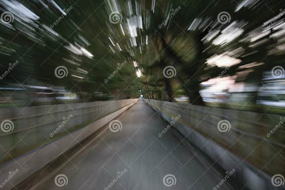 Blurred Pathway with Trees stock image. Image of motion - 319318611