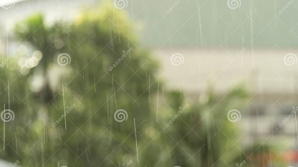 Blurred Photo of a Light Rain or Drizzle with Trees in the Background ...